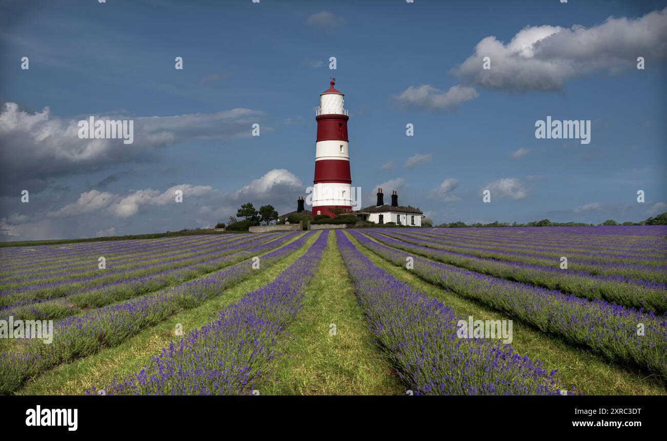 Lighthouse and field of lavender hi-res stock photography and images ...