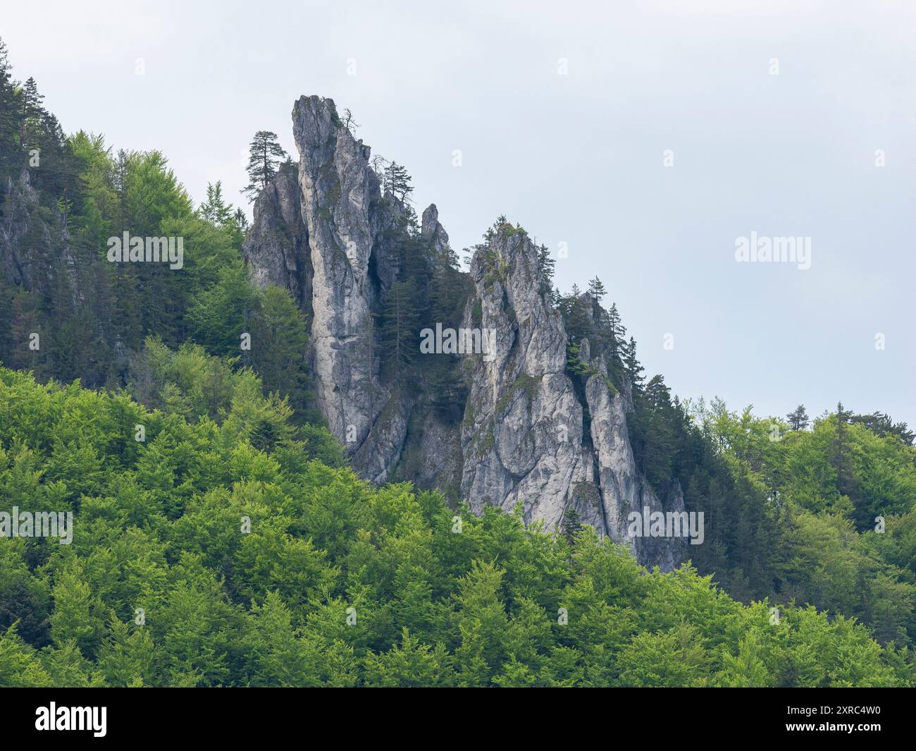 Hike in the Mala Fatra National Park in Slovakia Stock Photo - Alamy