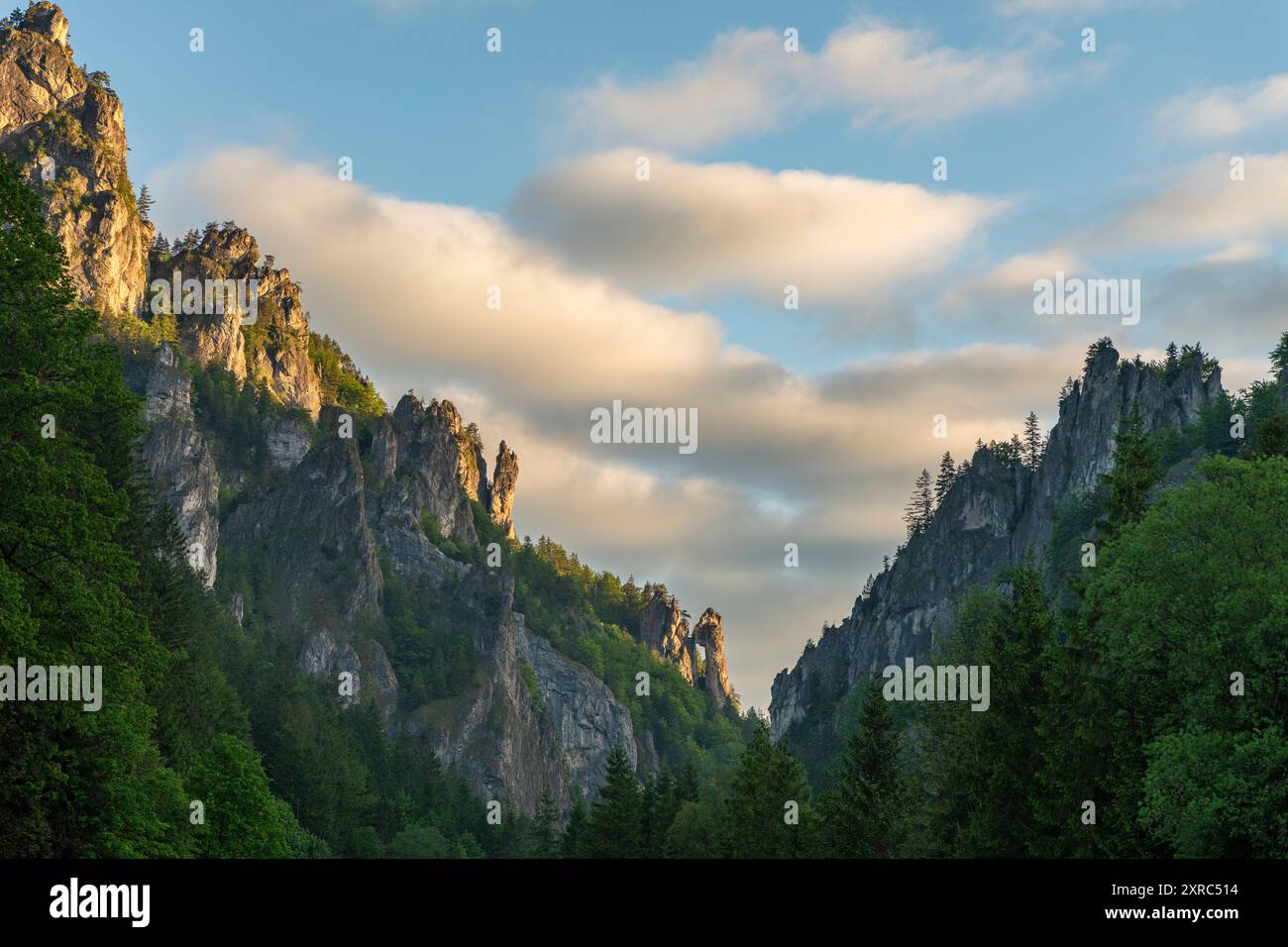 Hike in the Mala Fatra National Park in Slovakia Stock Photo - Alamy