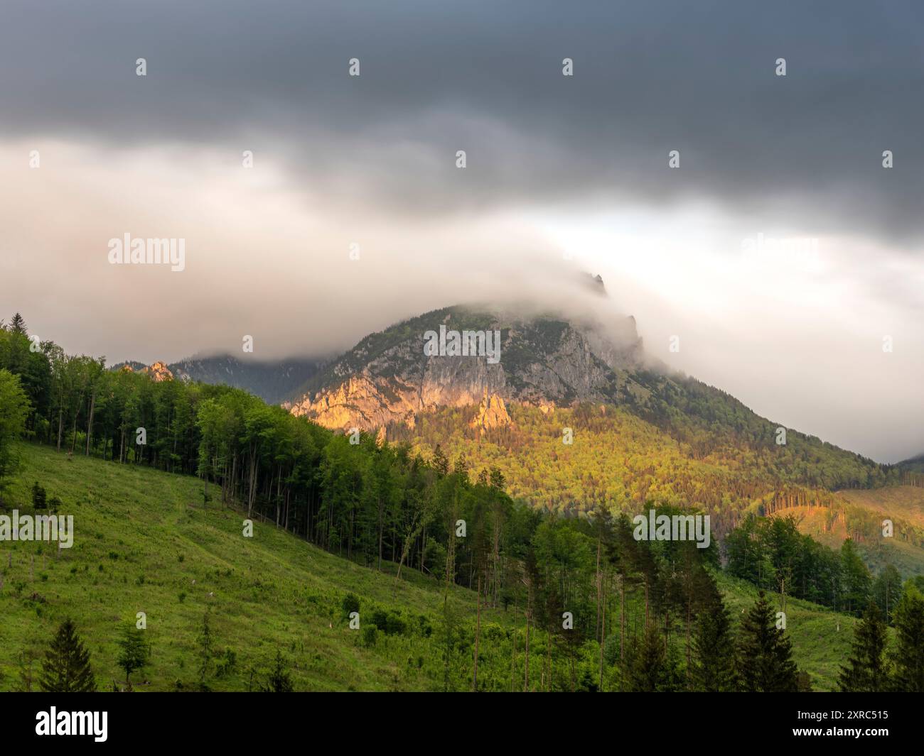 Hike in the Mala Fatra National Park in Slovakia with a view of Velky ...