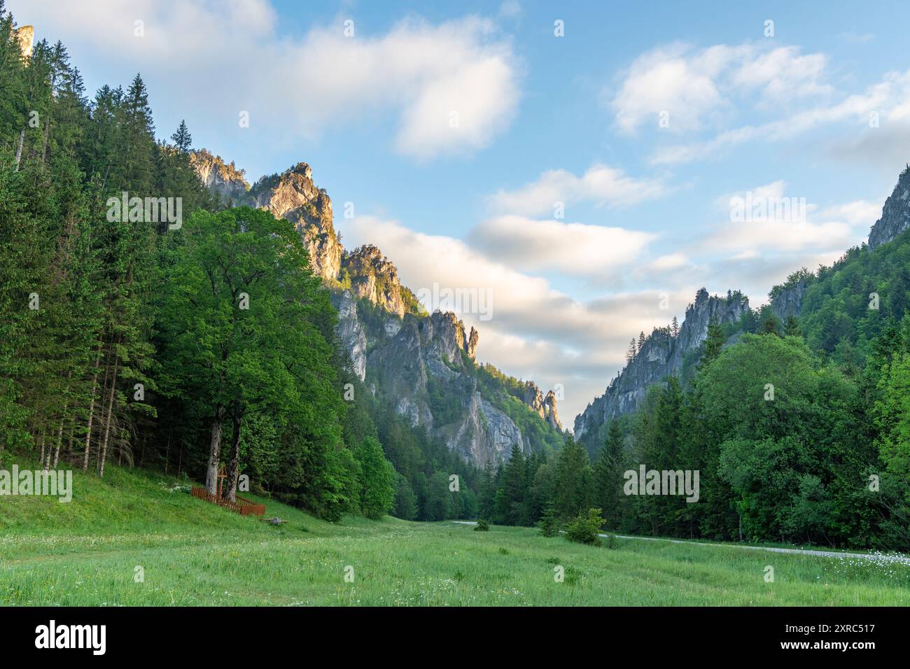 Hike in the Mala Fatra National Park in Slovakia Stock Photo - Alamy