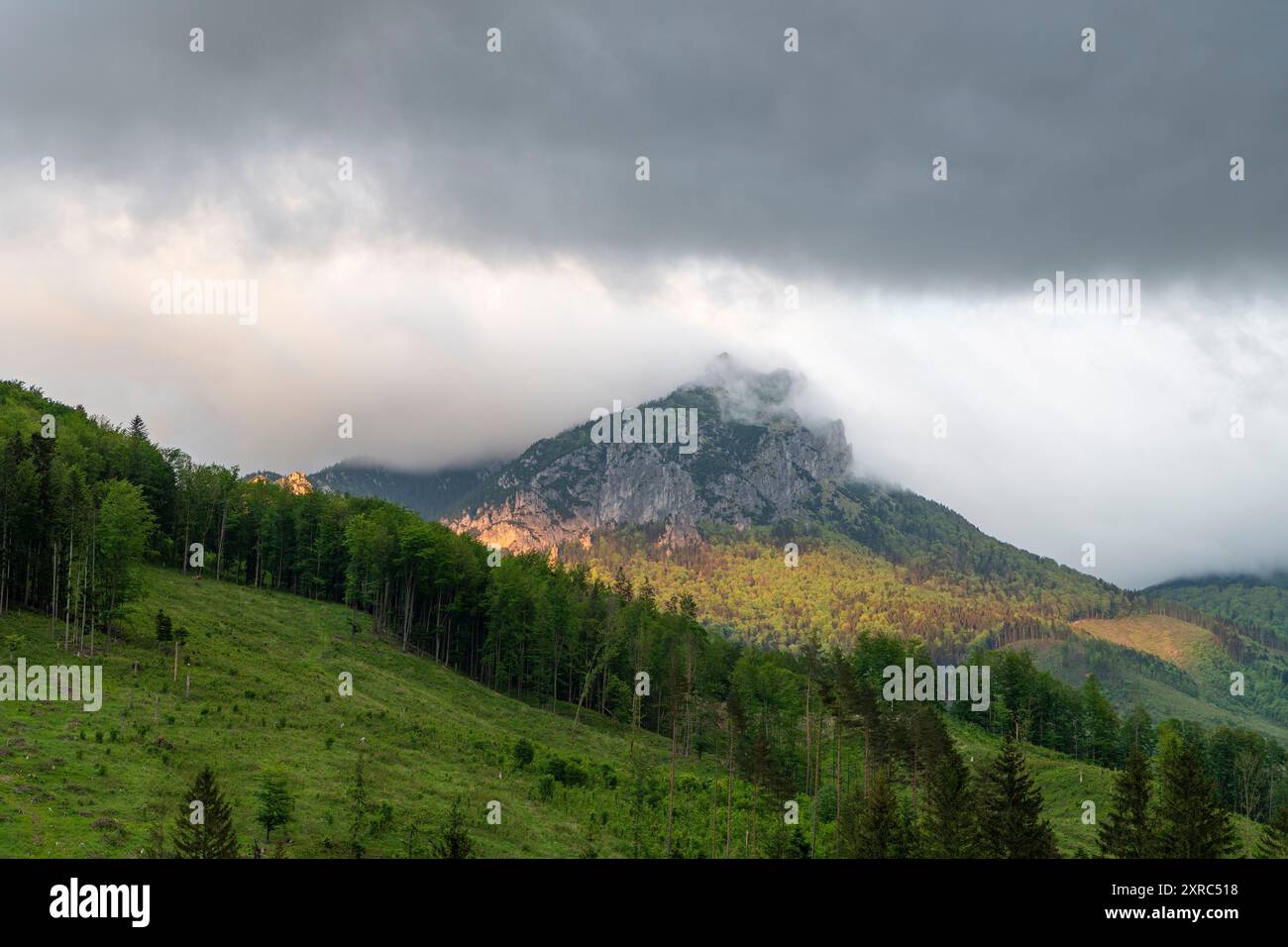 Hike in the Mala Fatra National Park in Slovakia with a view of Velky ...