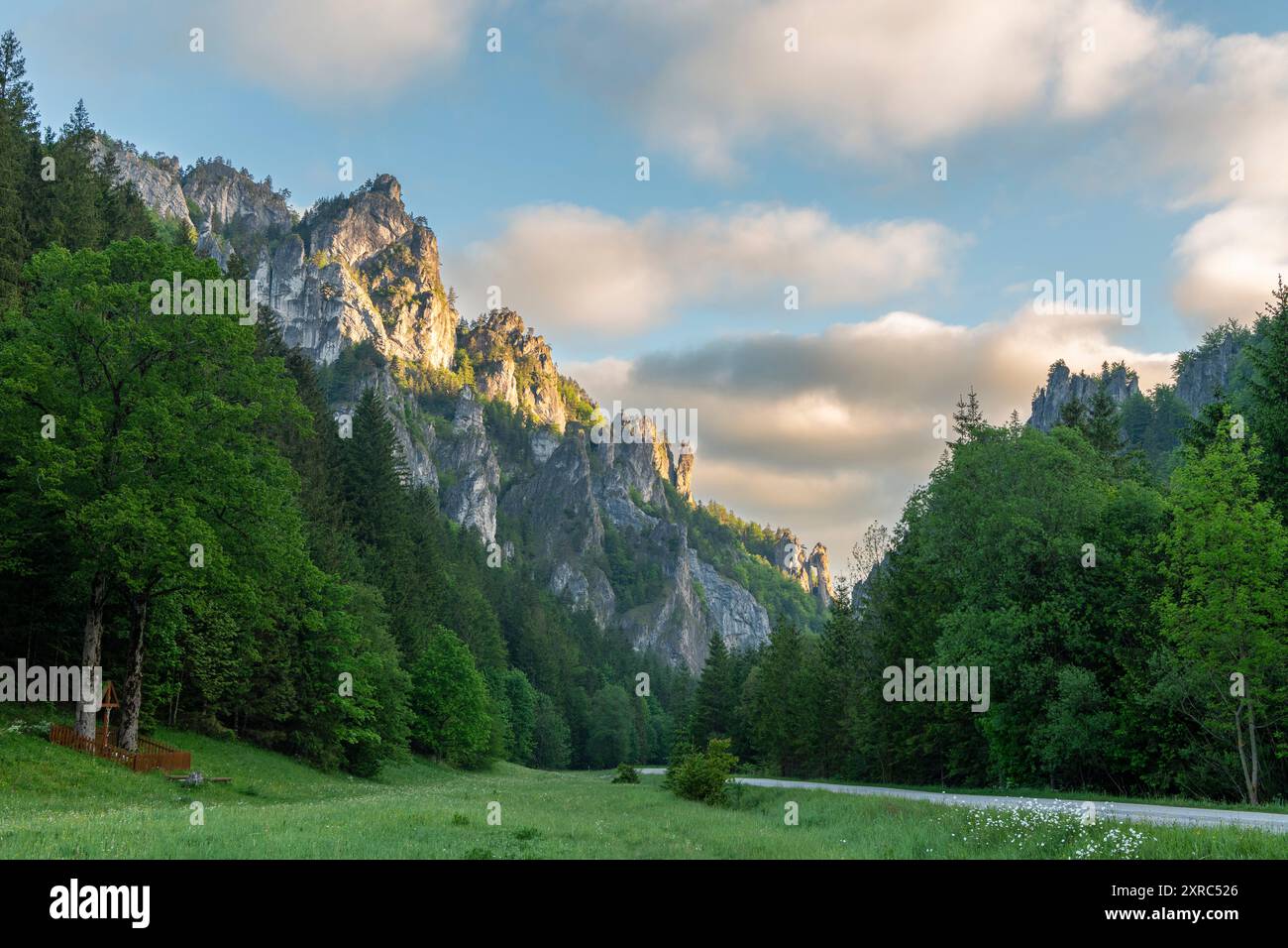 Hike in the Mala Fatra National Park in Slovakia Stock Photo - Alamy