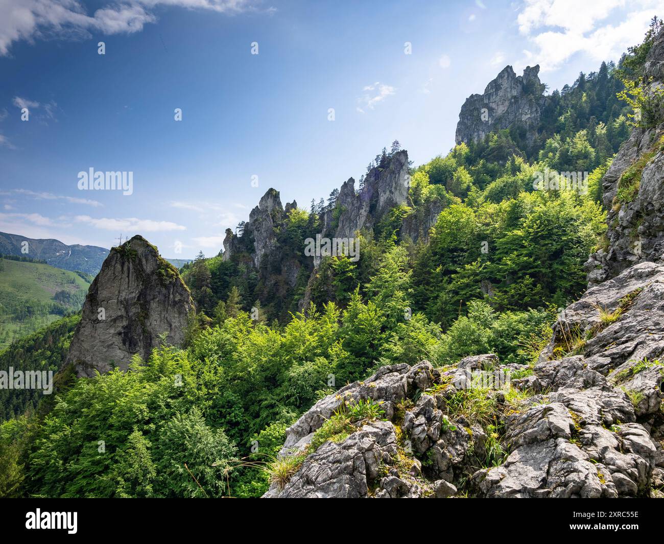 Hike in the Mala Fatra National Park in Slovakia Stock Photo - Alamy