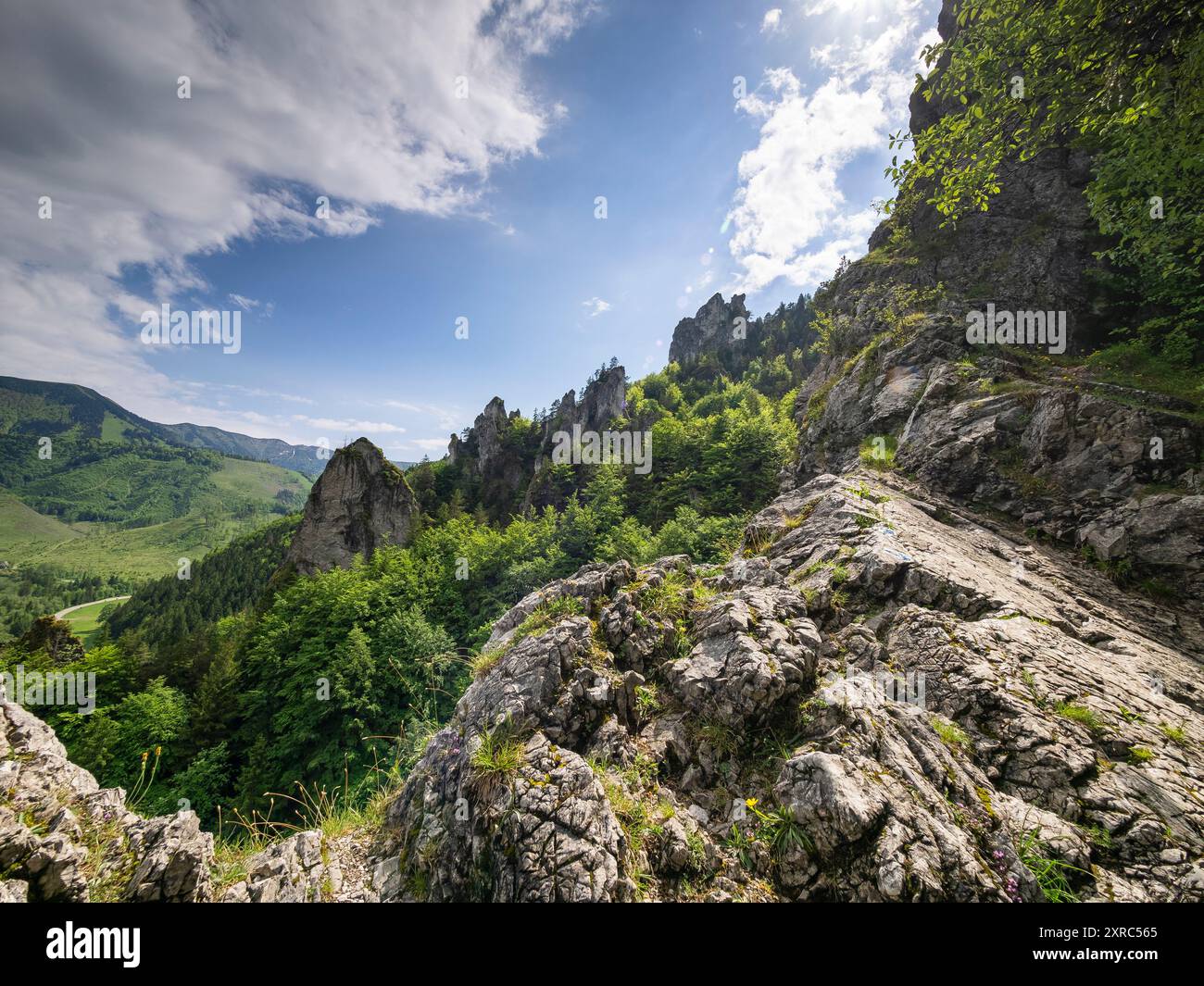 Hike in the Mala Fatra National Park in Slovakia Stock Photo - Alamy
