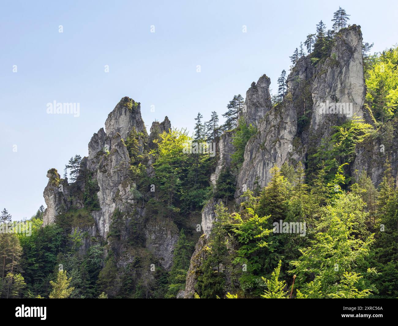Hike in the Mala Fatra National Park in Slovakia Stock Photo - Alamy