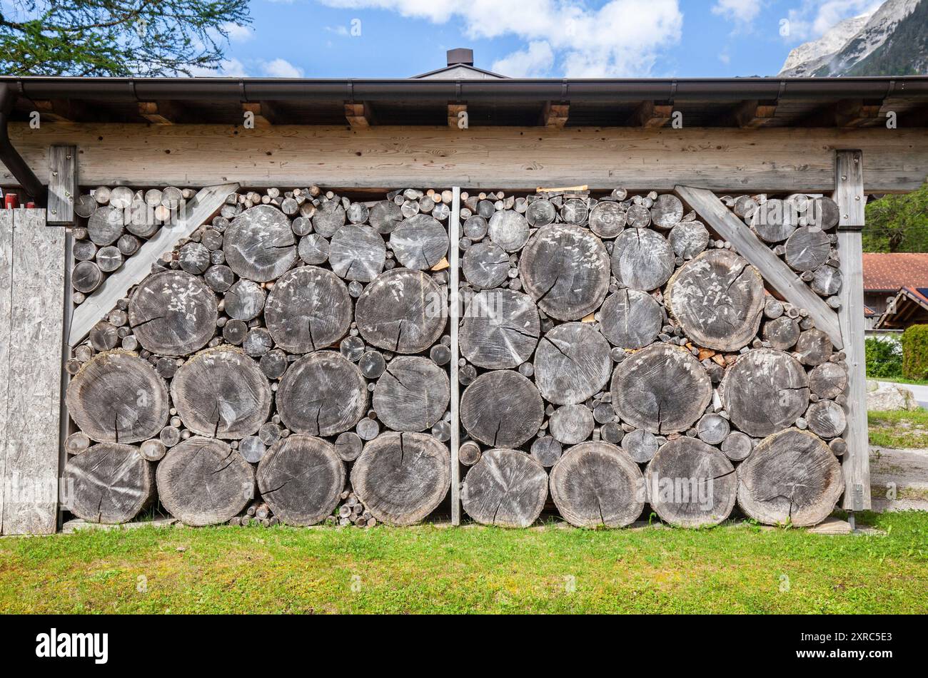 Lumberyard with unusual log diameter Stock Photo - Alamy
