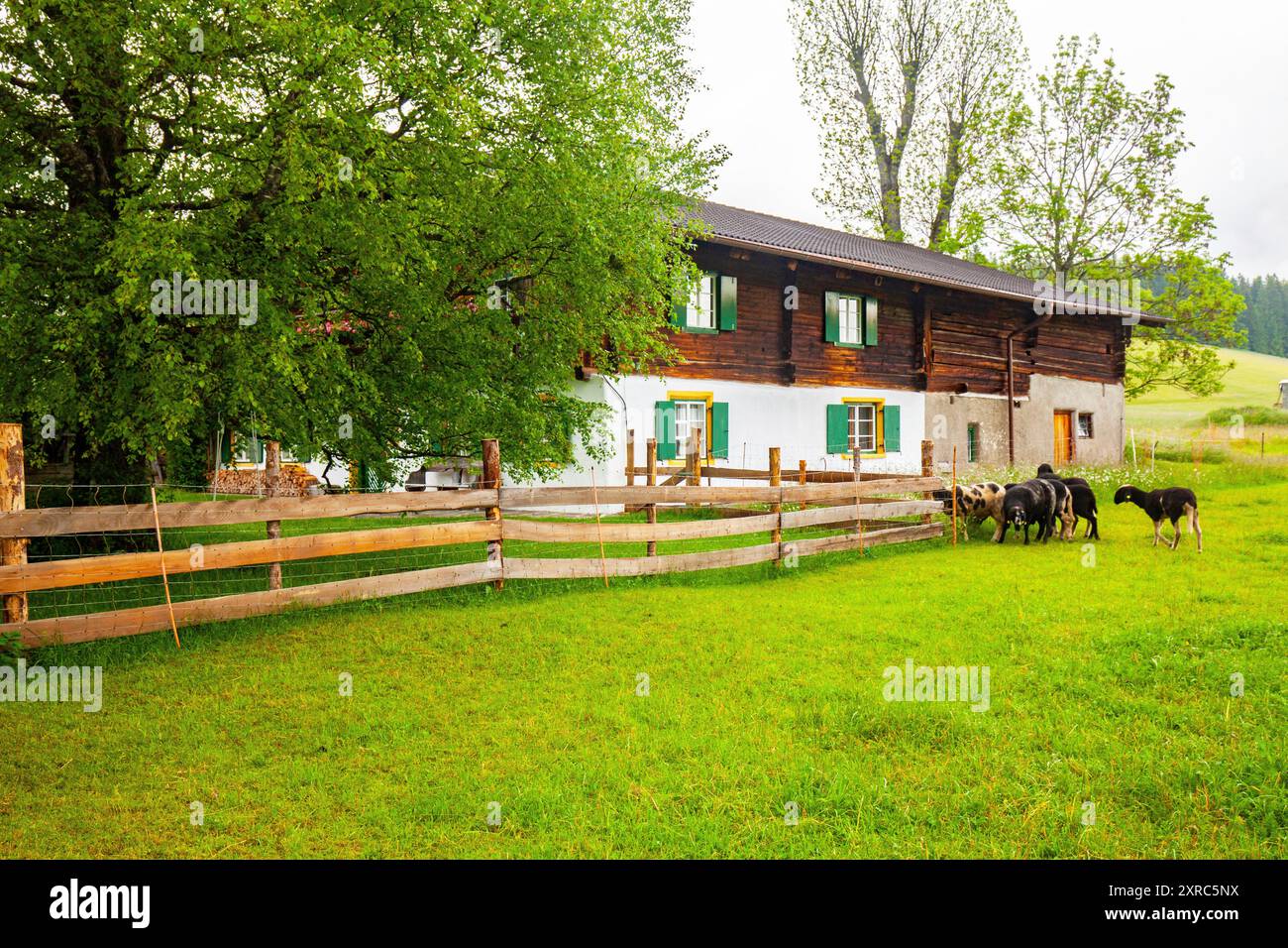 Historic farmhouse in the Tyrolean Leutasch Valley Stock Photo - Alamy