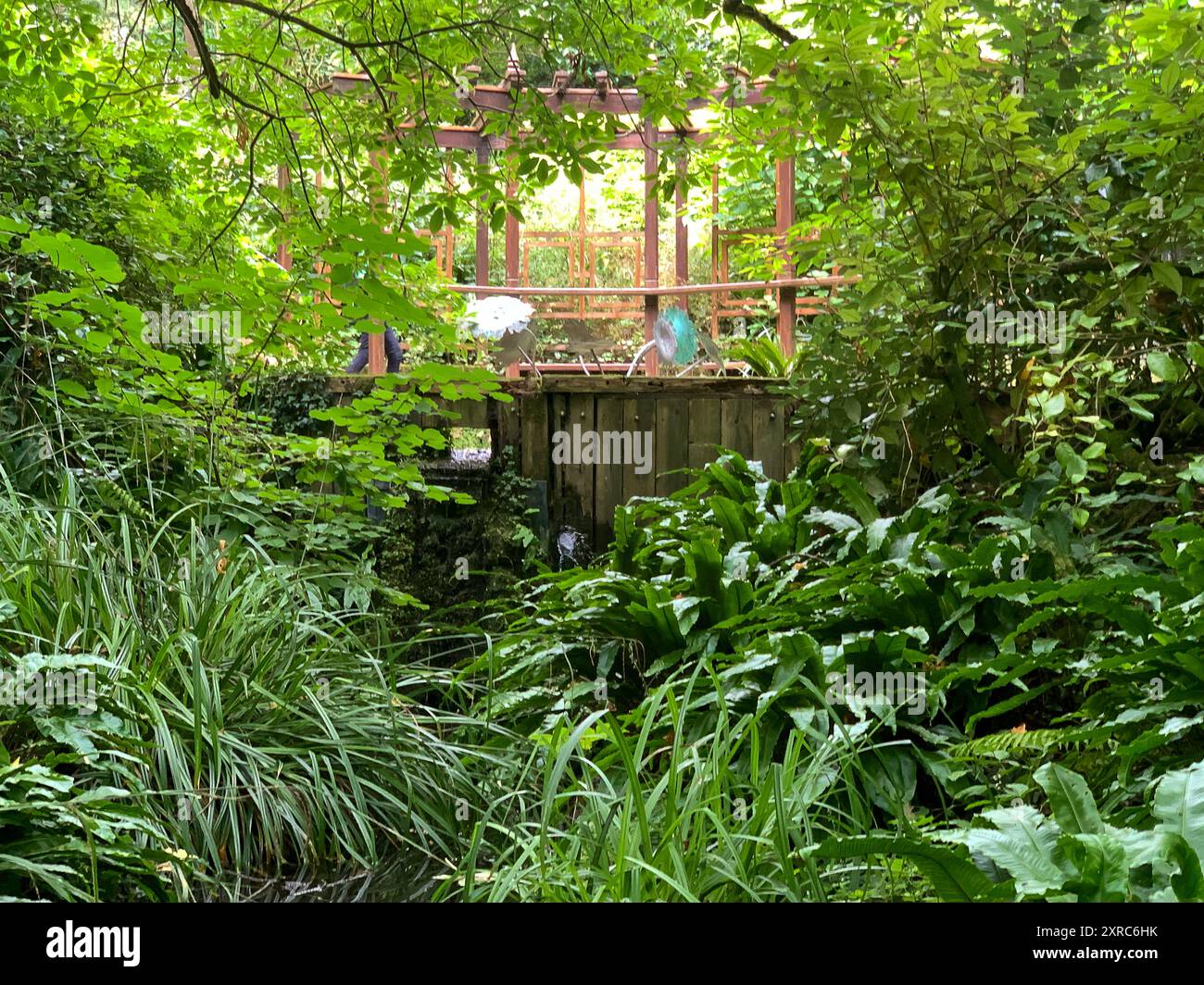 Bledlow, Princes Risborough, UK. 8th August, 2024. The Lyde Gardens in ...