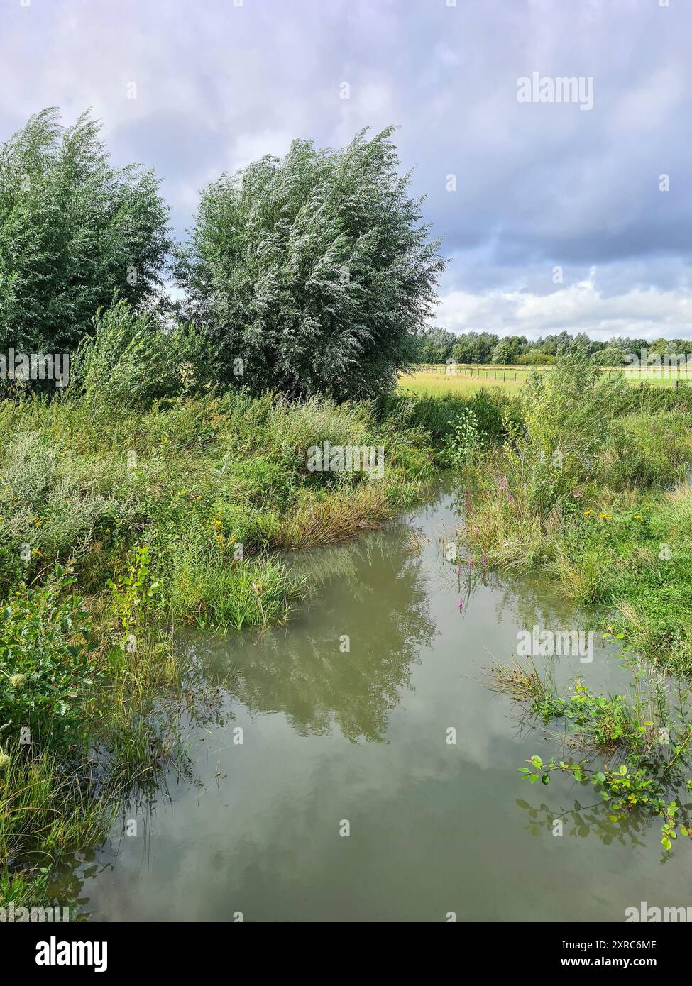 Change in the course of a stream with a lot of rainwater in a rural ...