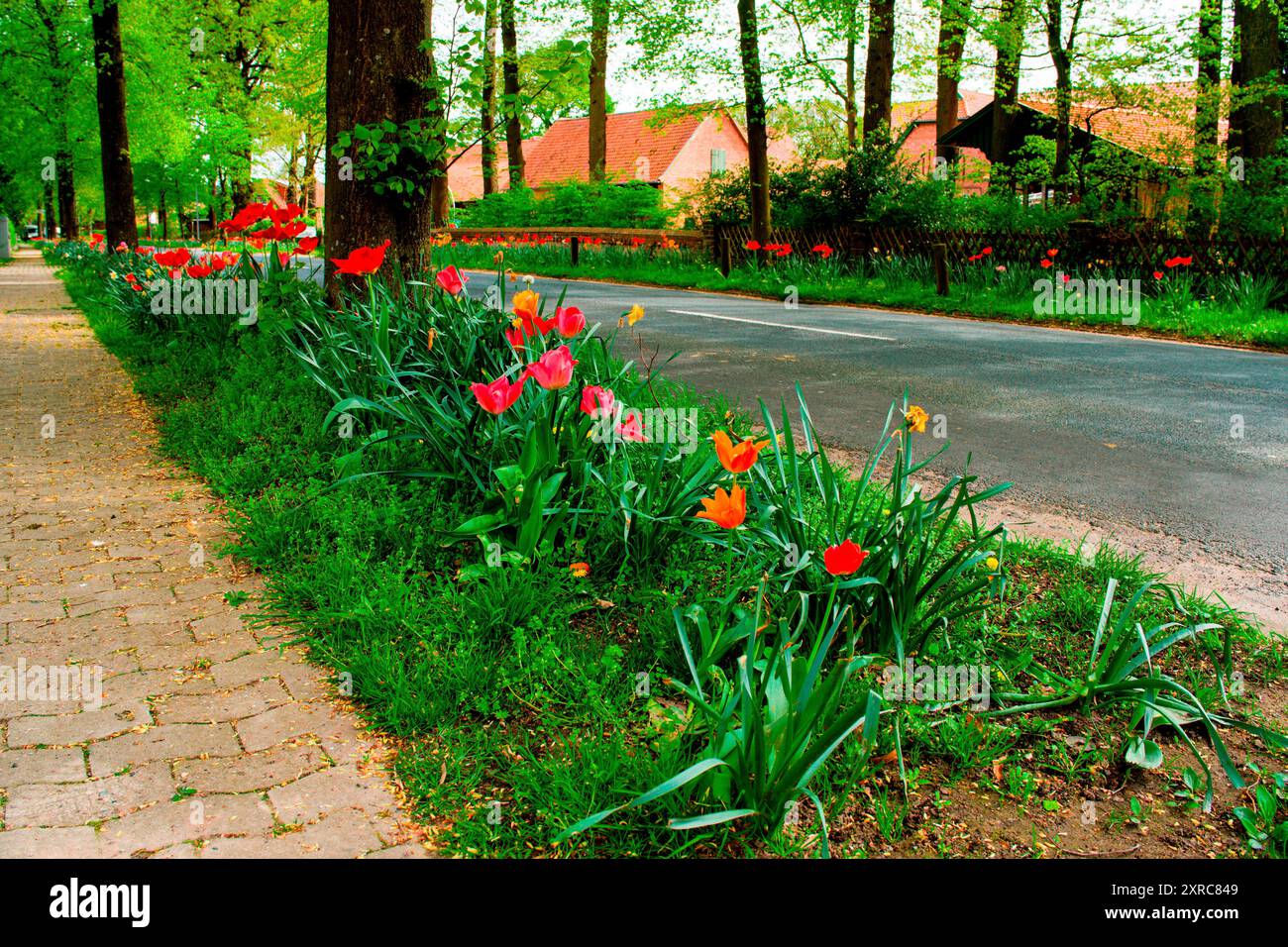 Roadside plot hi-res stock photography and images - Alamy