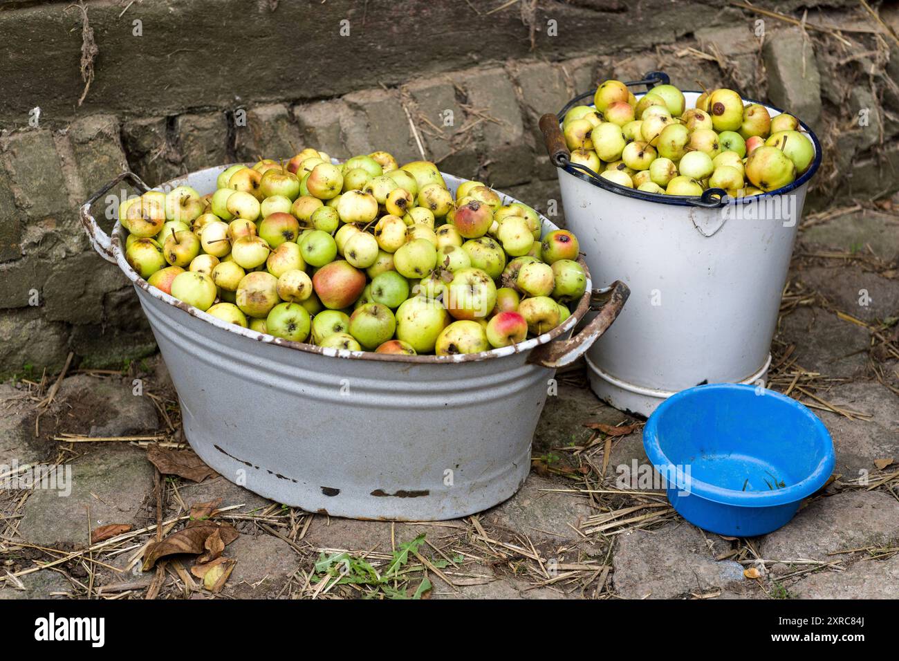 Fruits collected in a bucket hi-res stock photography and images - Alamy
