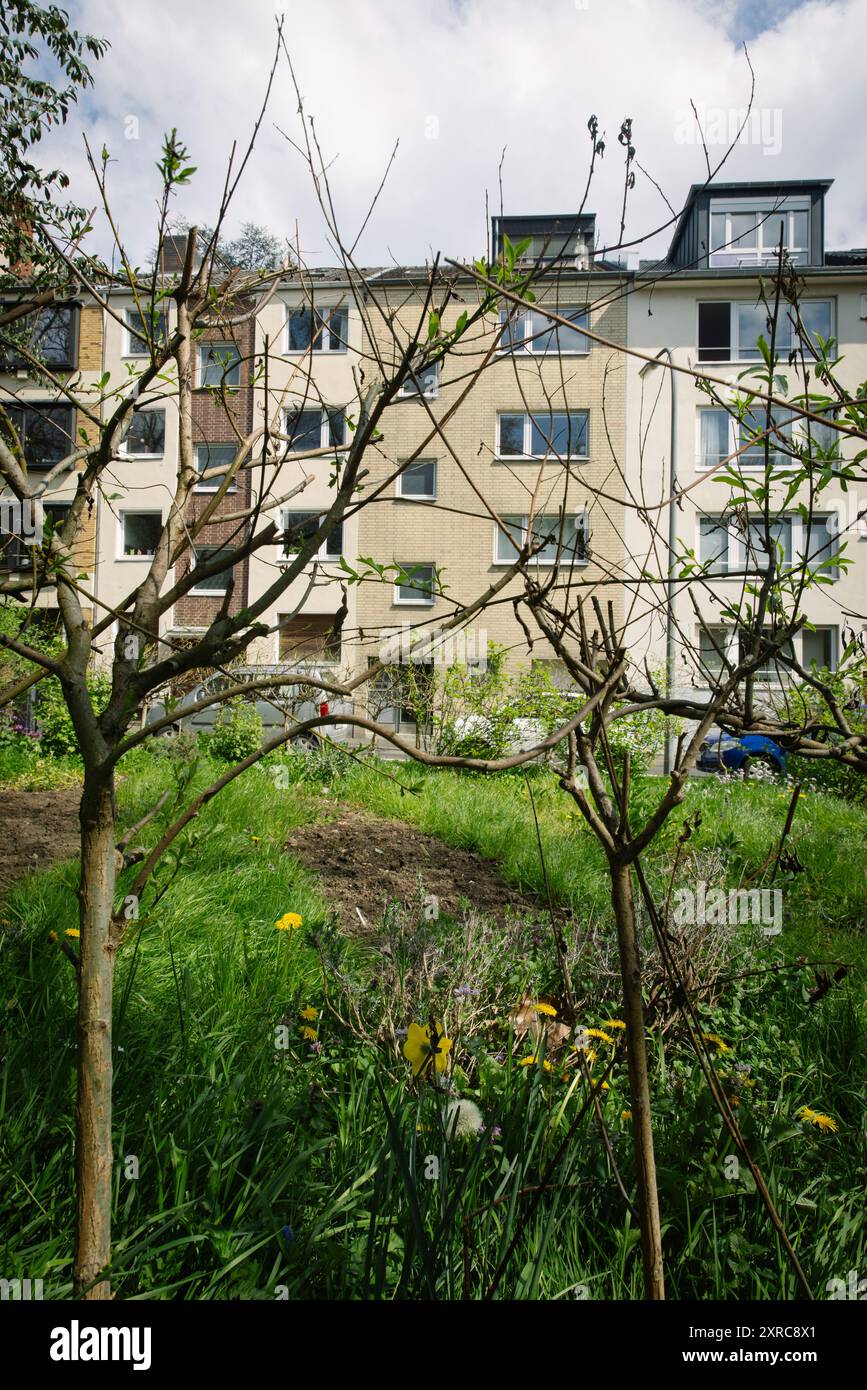 Small community garden in a residential area in the center of Cologne ...