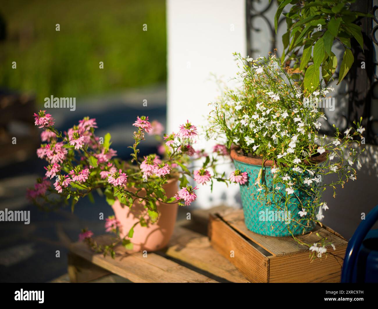 Garden, flower pots, still life Stock Photo - Alamy