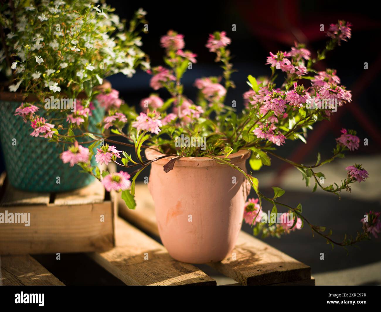 Garden flower pots hi-res stock photography and images - Alamy