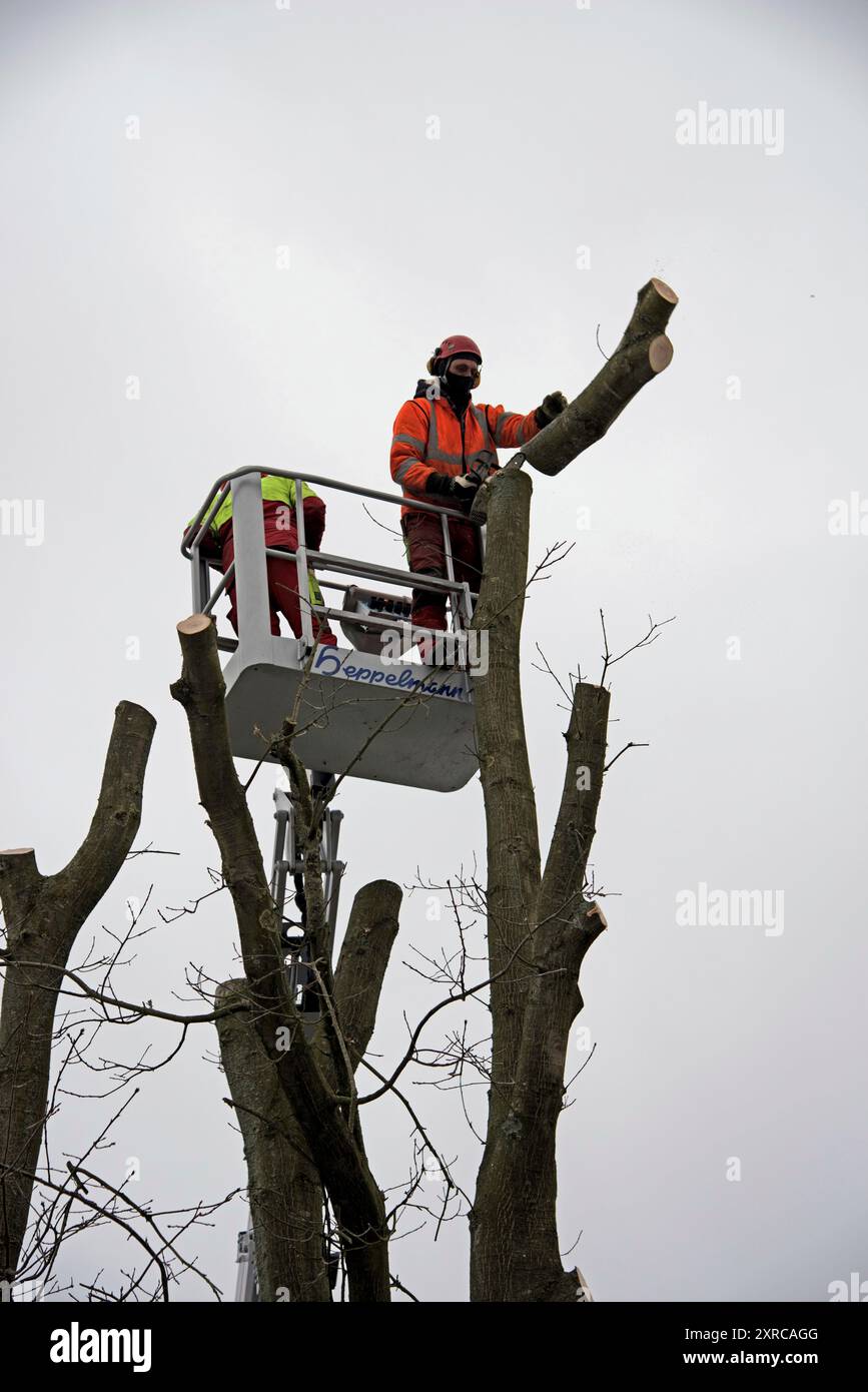 Tree cherry picker hi-res stock photography and images - Alamy