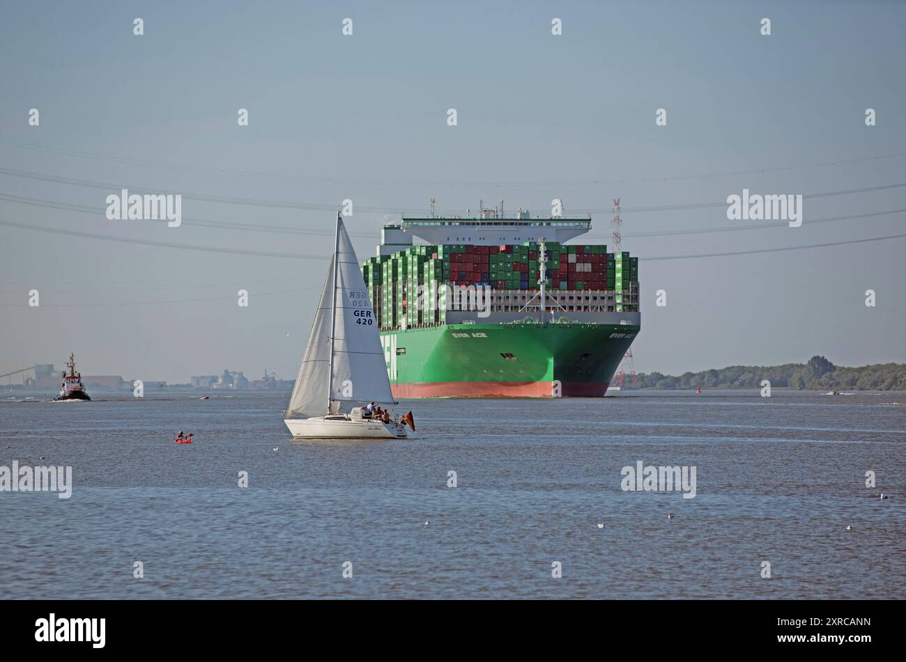 Europe, Germany, Hanseatic City of Hamburg, Port, Elbe, Shipping company of Evergreen Line ...