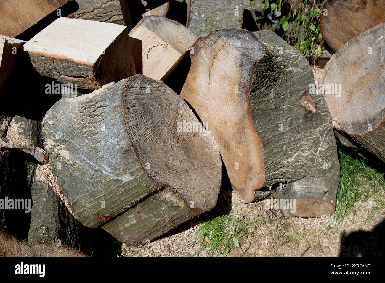 Oak firewood hi-res stock photography and images - Alamy