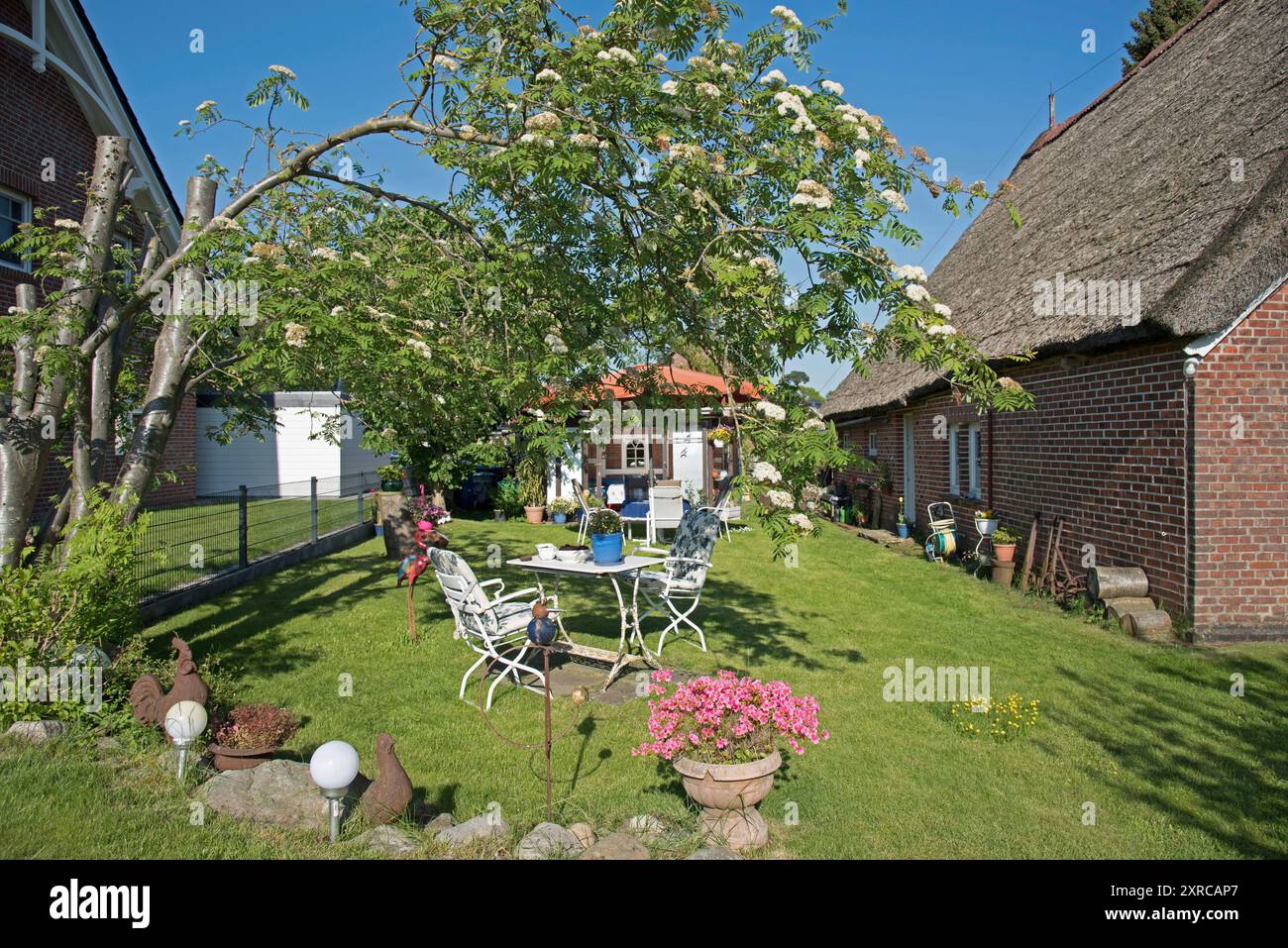 Europe, Germany, Lower Saxony, Stade district, thatched house in summer ...