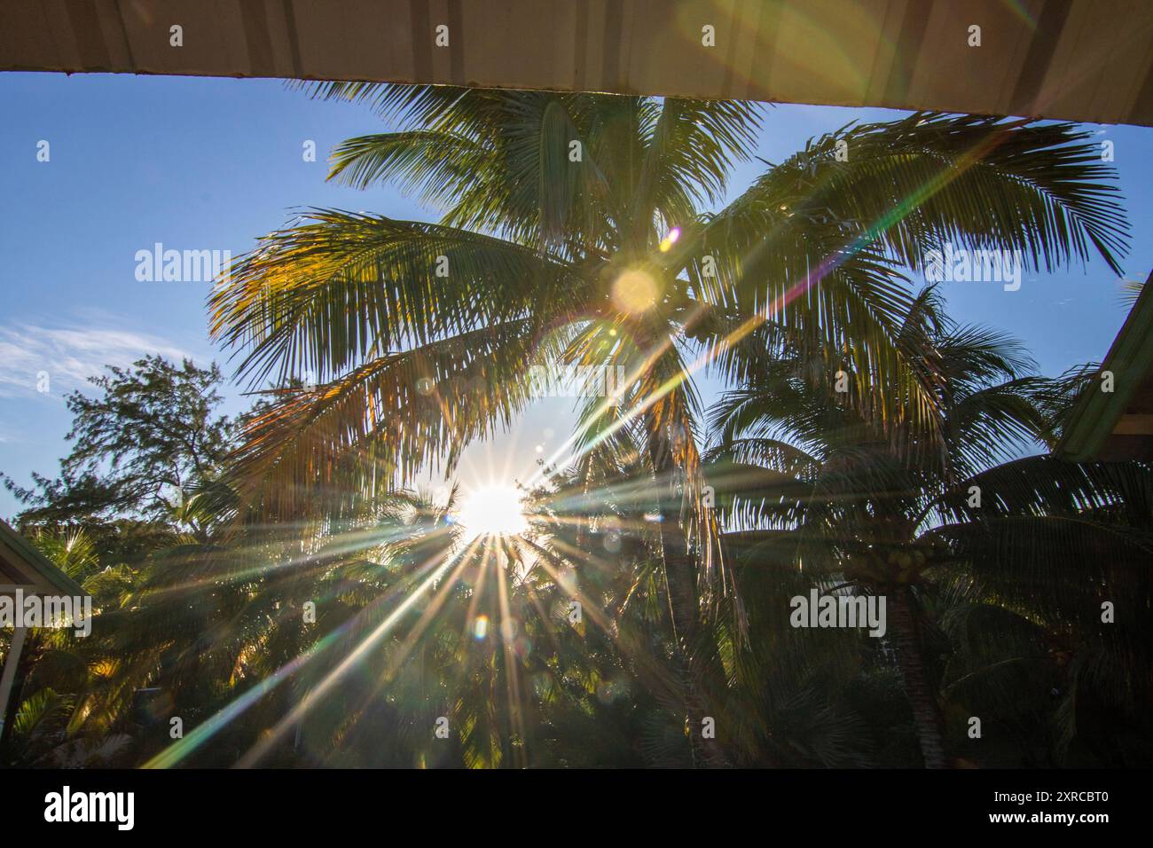 Sunrise on a dream island, vacation as you would imagine it on a ...