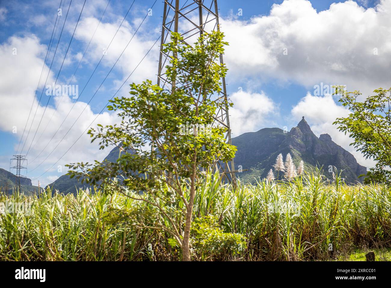 Mauritius power hi-res stock photography and images - Alamy