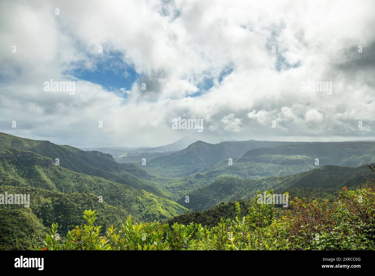 Viewpoint with a view into the jungle, tropical vegetation as far as ...