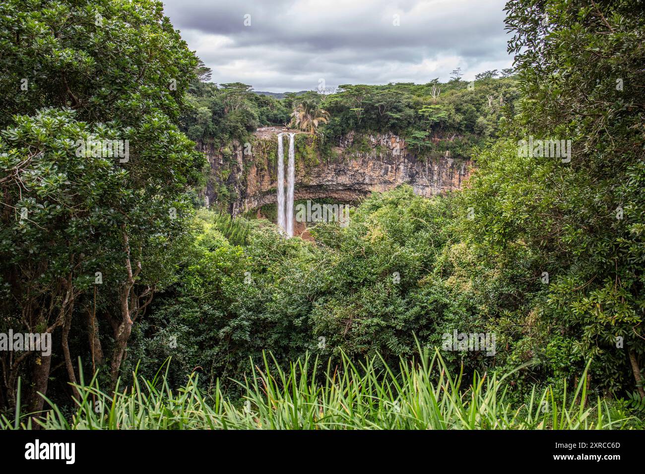 The Chamarel waterfall is 80 m high and plunges into a gorge, view of ...