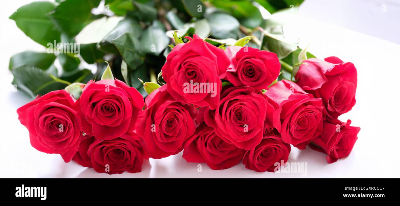 Many buds of red roses on a white background, wallpaper Stock Photo - Alamy