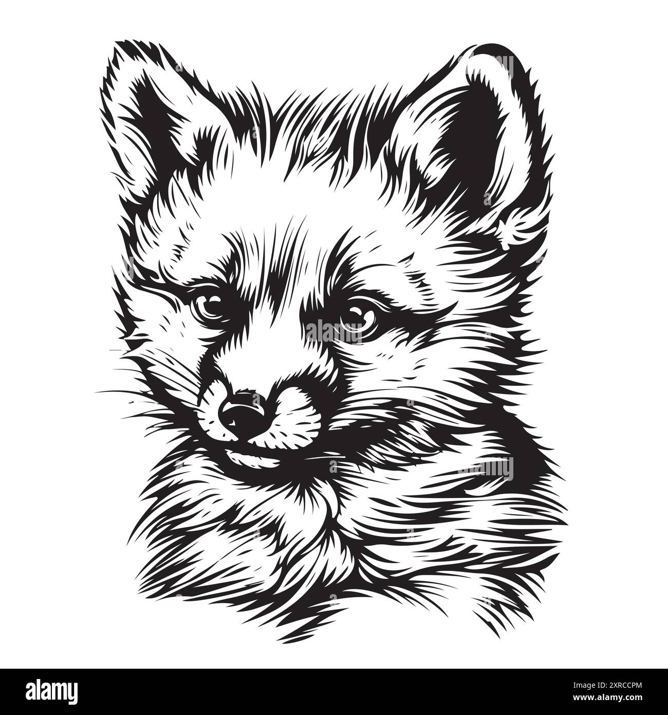 Fox kid face sketch Vector illustration Stock Vector Image & Art - Alamy