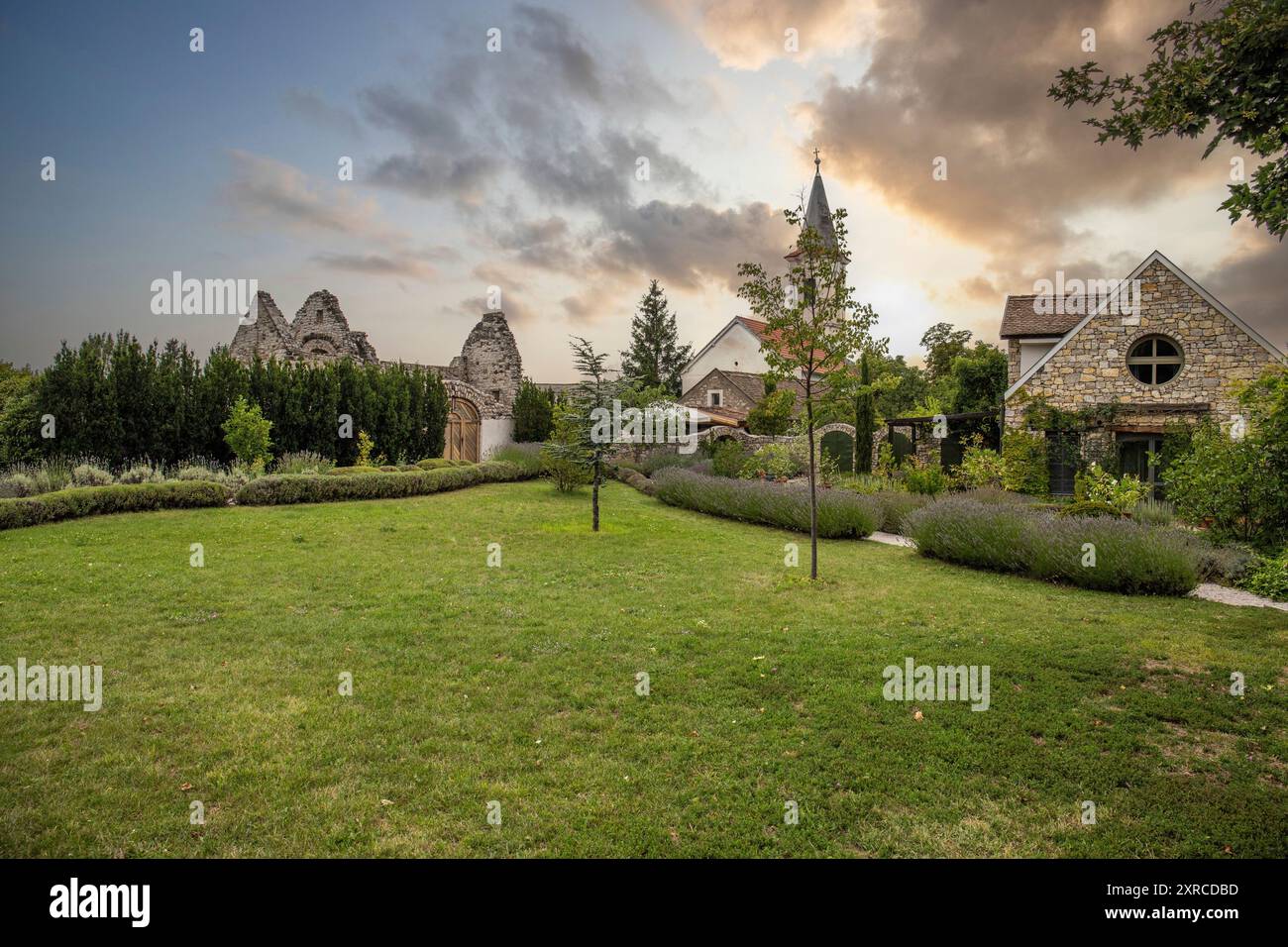 Old catholic church, in front of it a lavender field. Landscape ...