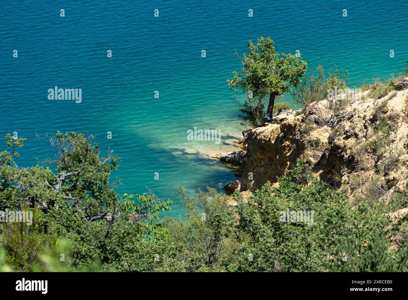 Break-off edge with tree at Lac de Sainte-Croix, Provence-Alpes-Cote d ...