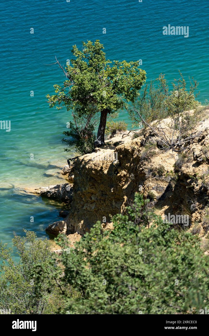 Break-off edge with tree at Lac de Sainte-Croix, Provence-Alpes-Cote d ...