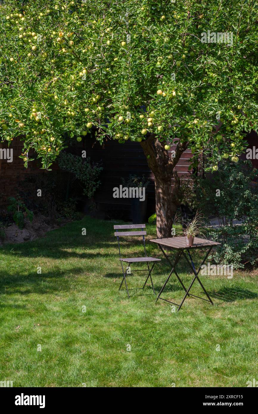 Favorite spot in the sun with garden chair and folding table under the ...