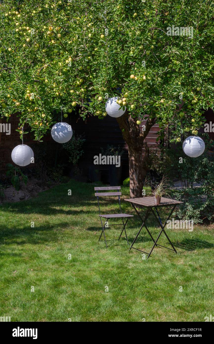 Table chair under tree in hi-res stock photography and images - Alamy