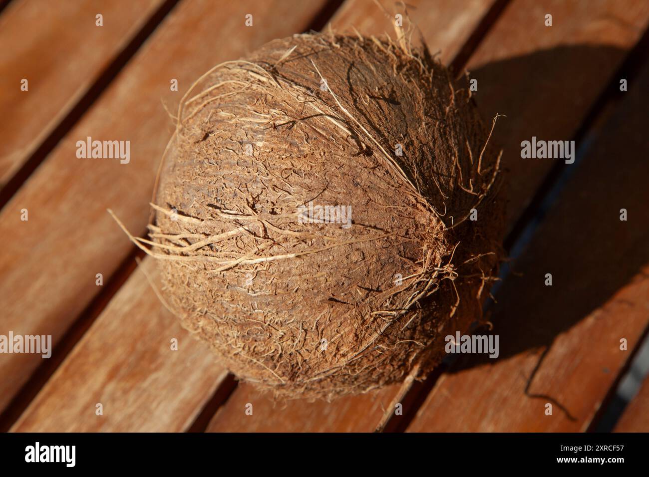 Coconut on table hi-res stock photography and images - Alamy