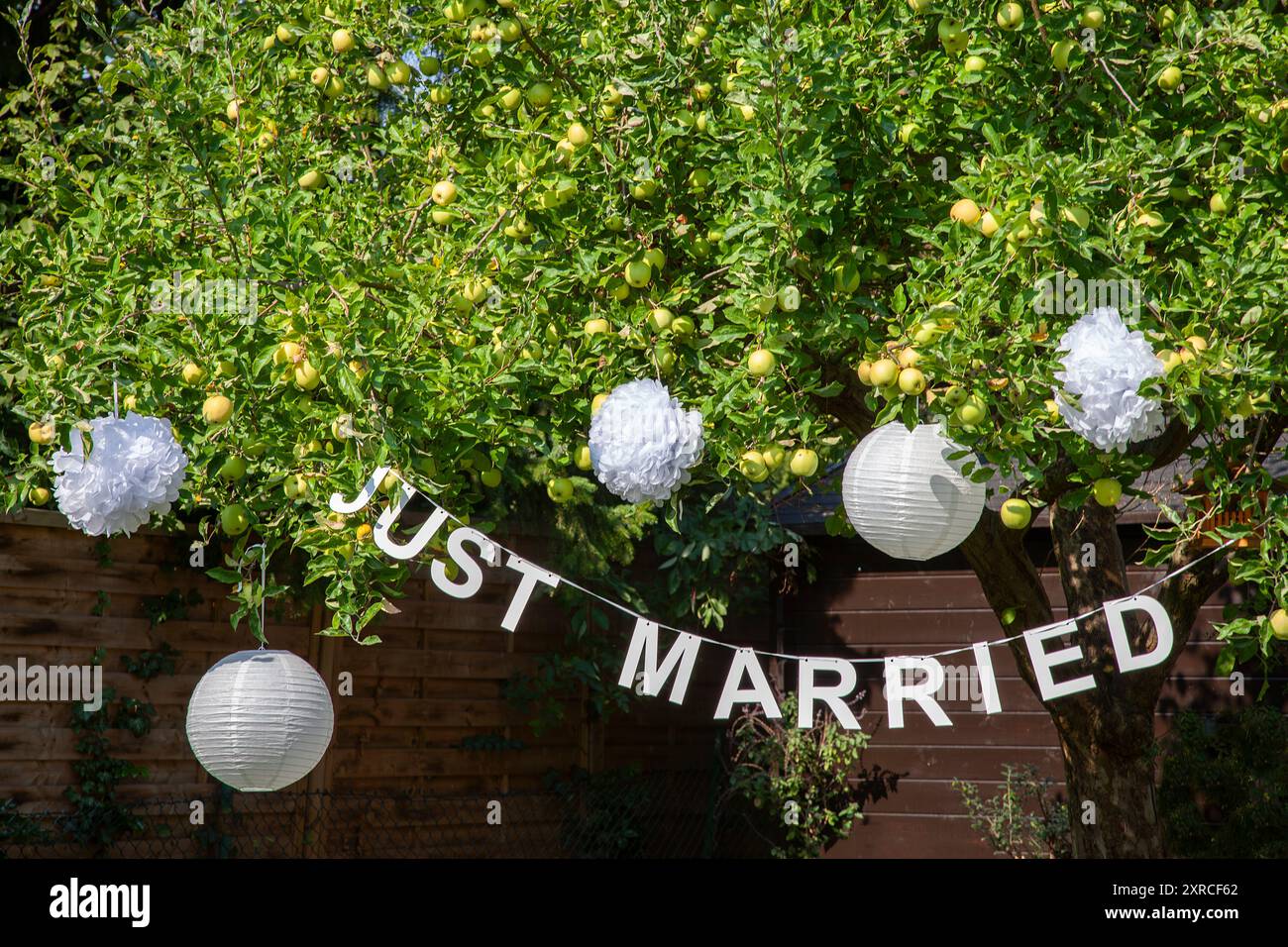 Appletree terrace wedding | Beachweddingtips.com
