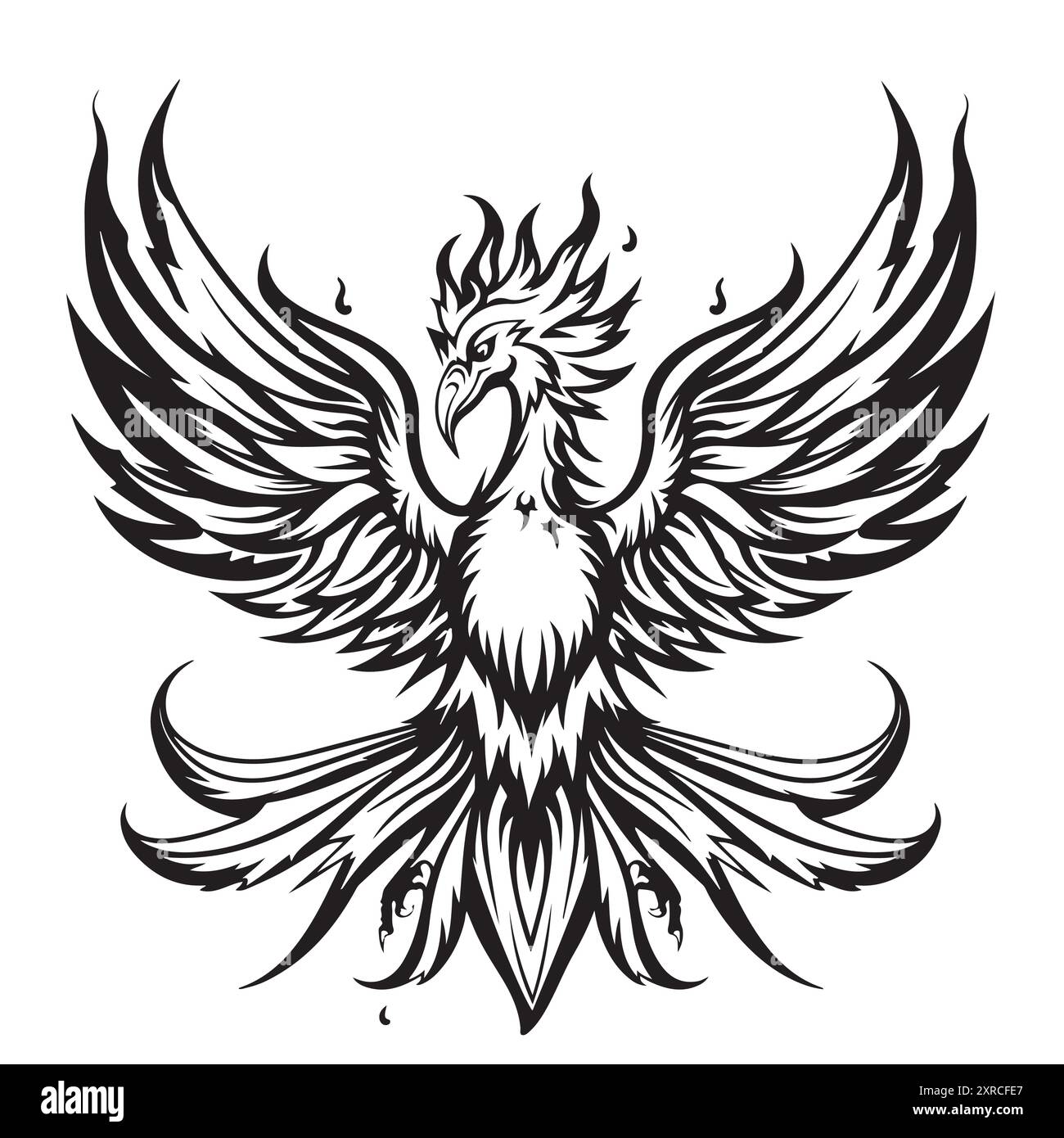 Abstract Phoenix Outline Bird Curve Portrait. Line Drawn Phoenix ...