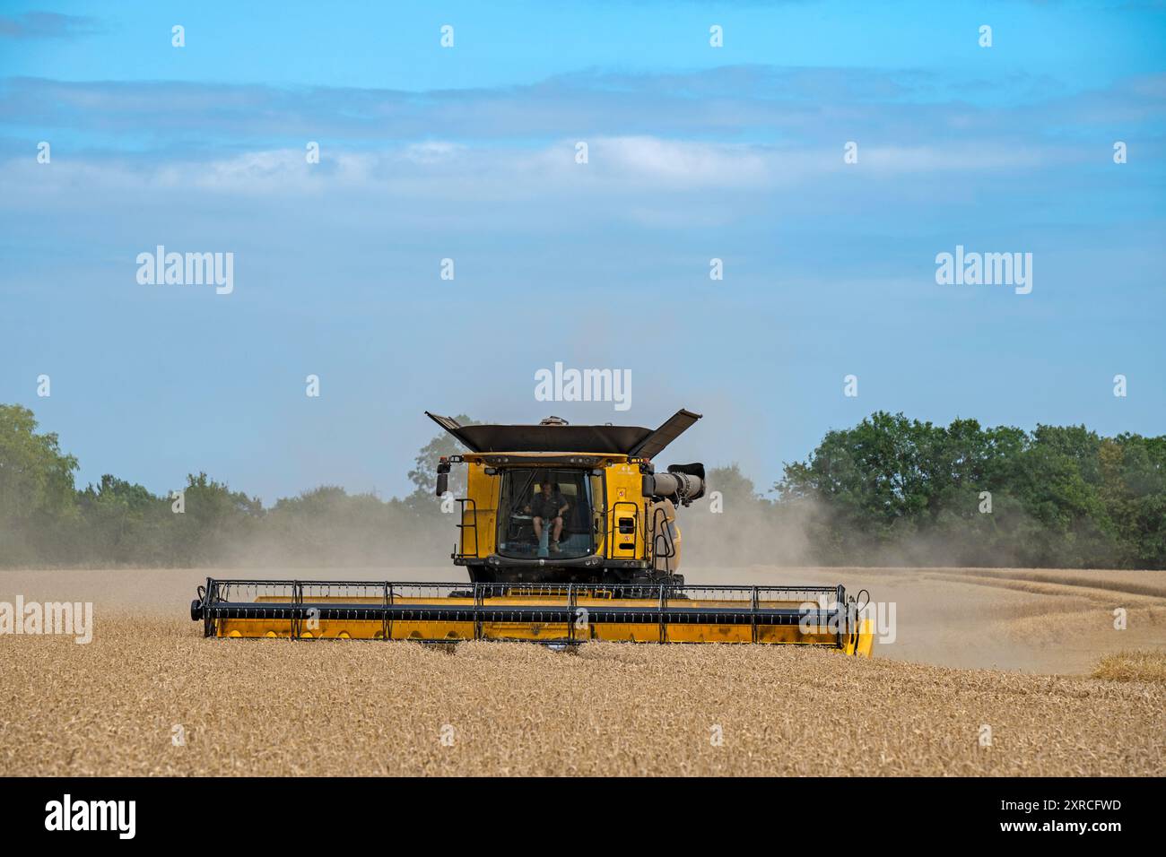 New Holland CR9.90 twin rotor combine harvester Otley Suffolk Stock ...
