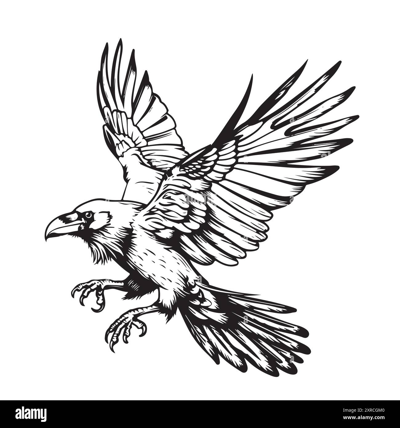 Realistic illustration of a Crow, hand drawn. vector Stock Vector Image ...