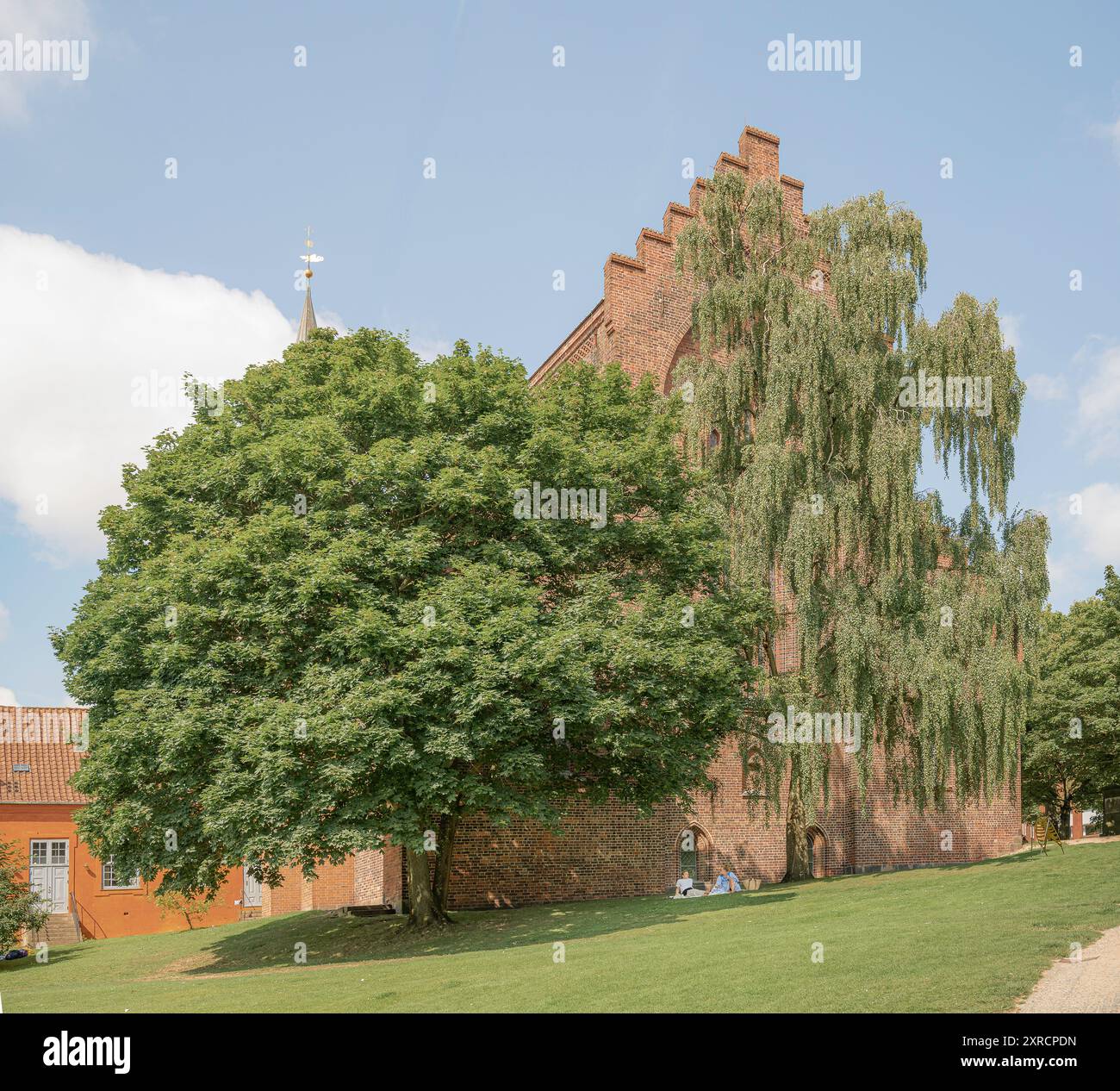 St. Canute's church and its garden in Odense, Denmark, August 3, 2024 ...