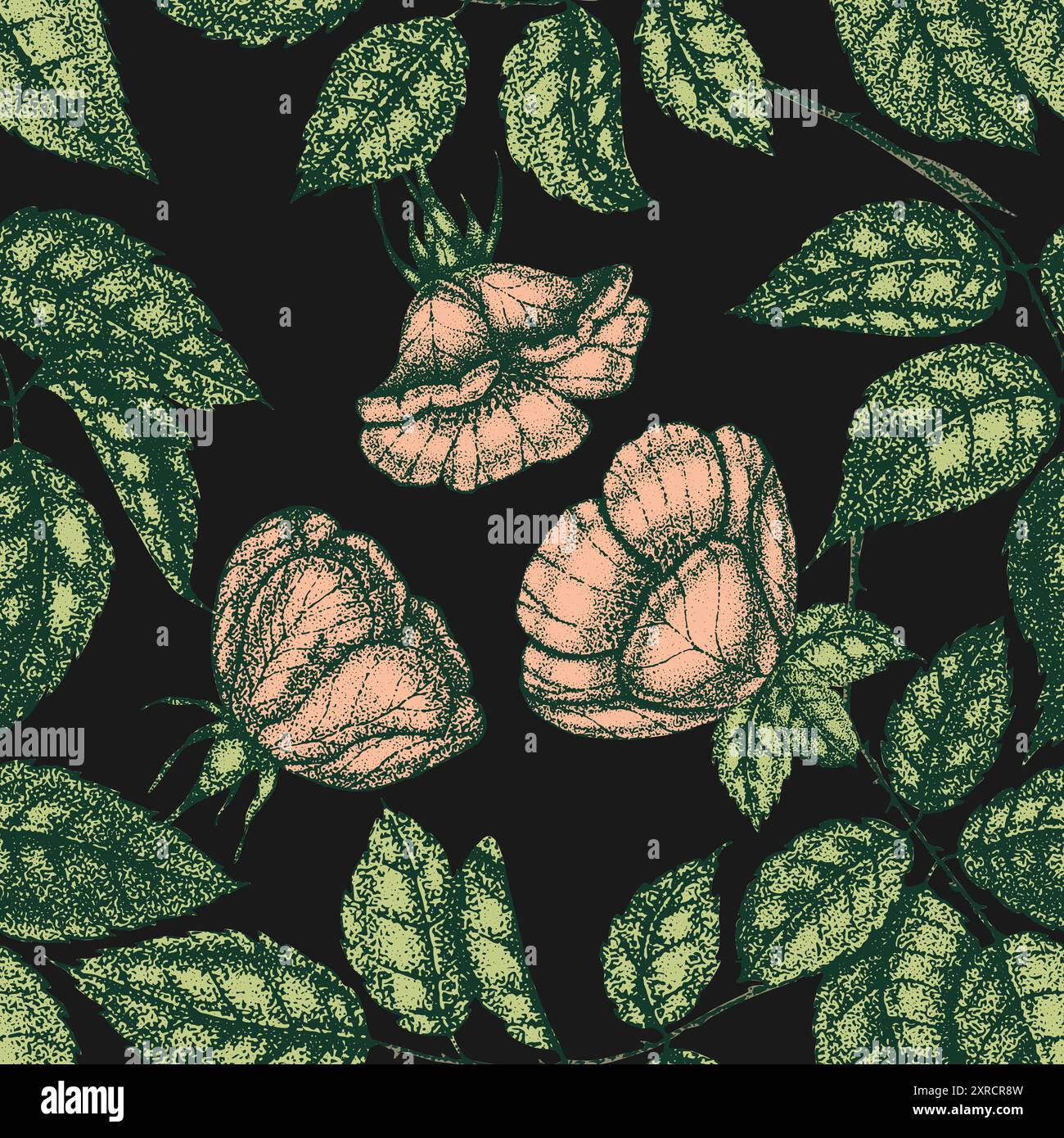 Wild rose flowers drawing and sketch with pointillism on black ...