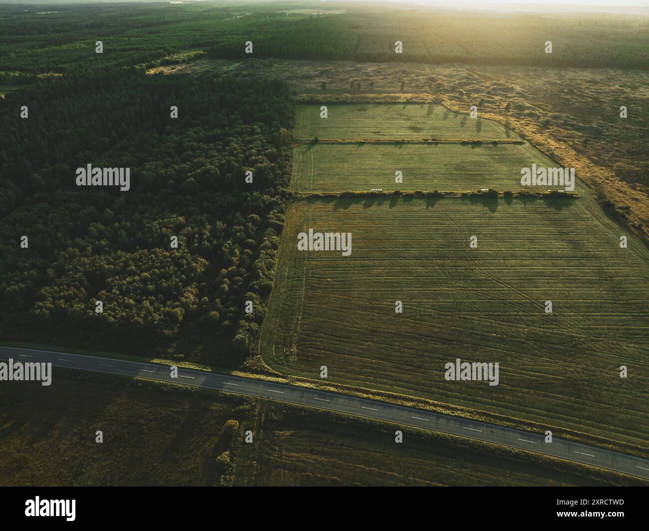 Aerial view of a green forest and pasture in Jutland, northern Denmark ...