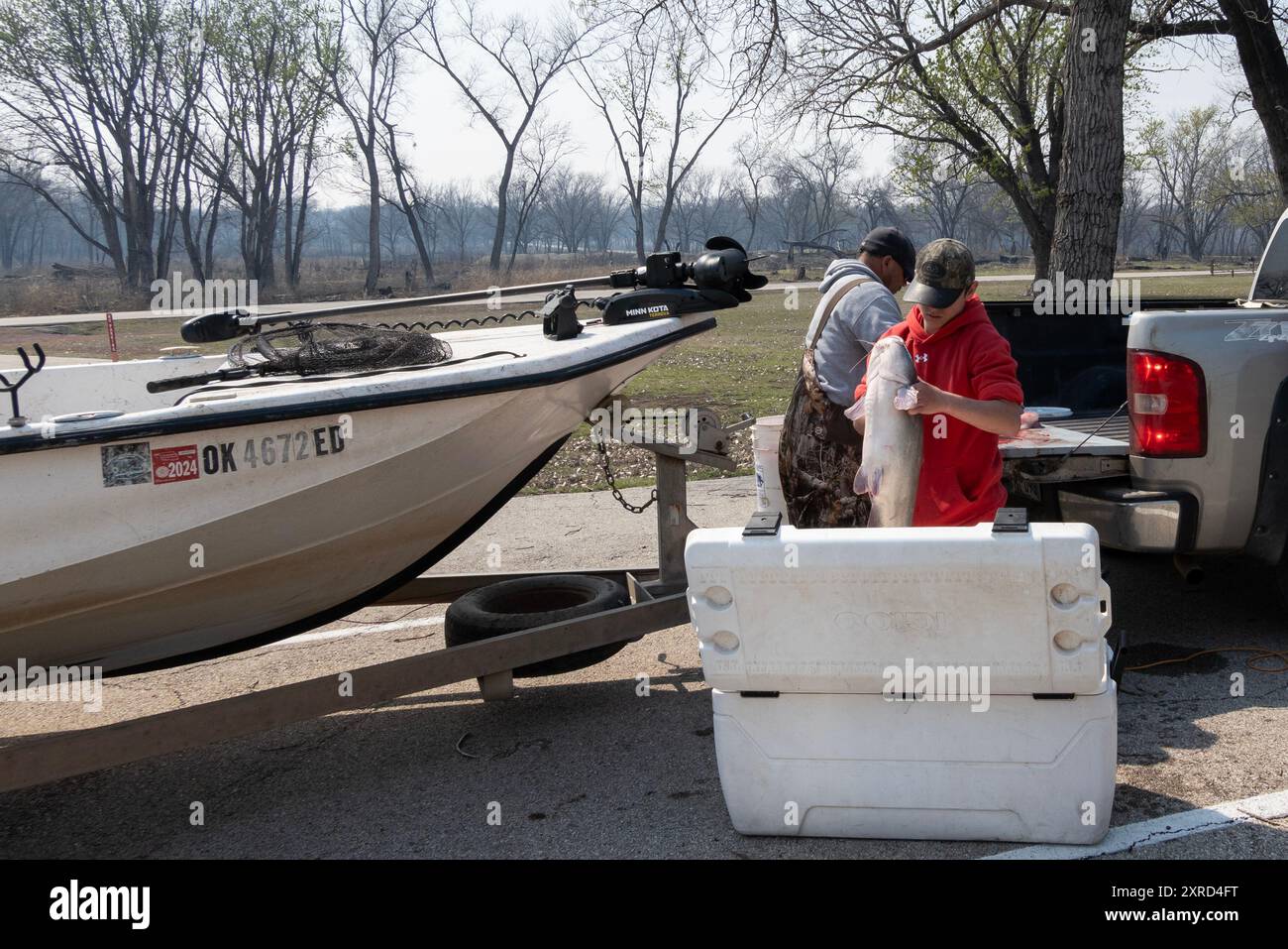 A teenage boy takes a huge blue catfish out of a container to be ...