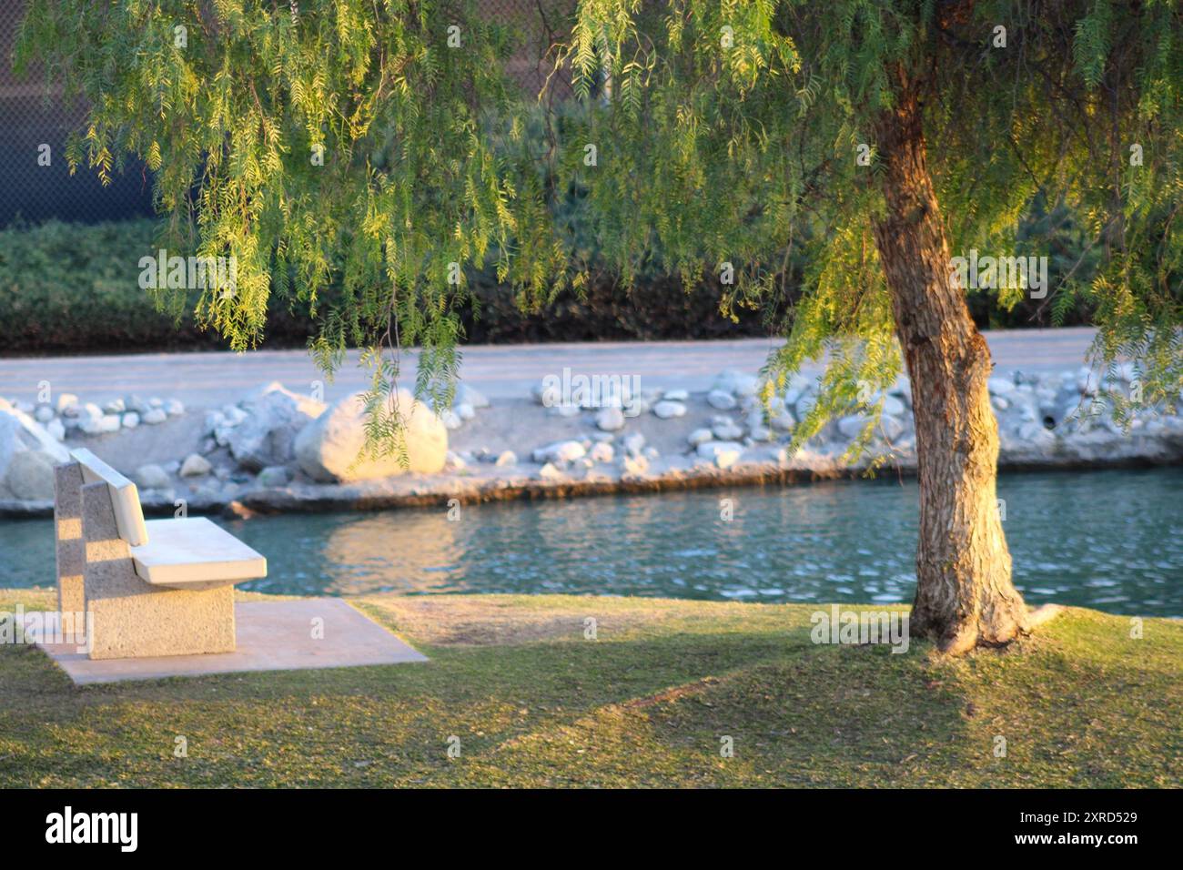 peaceful seat during golden hour Stock Photo - Alamy