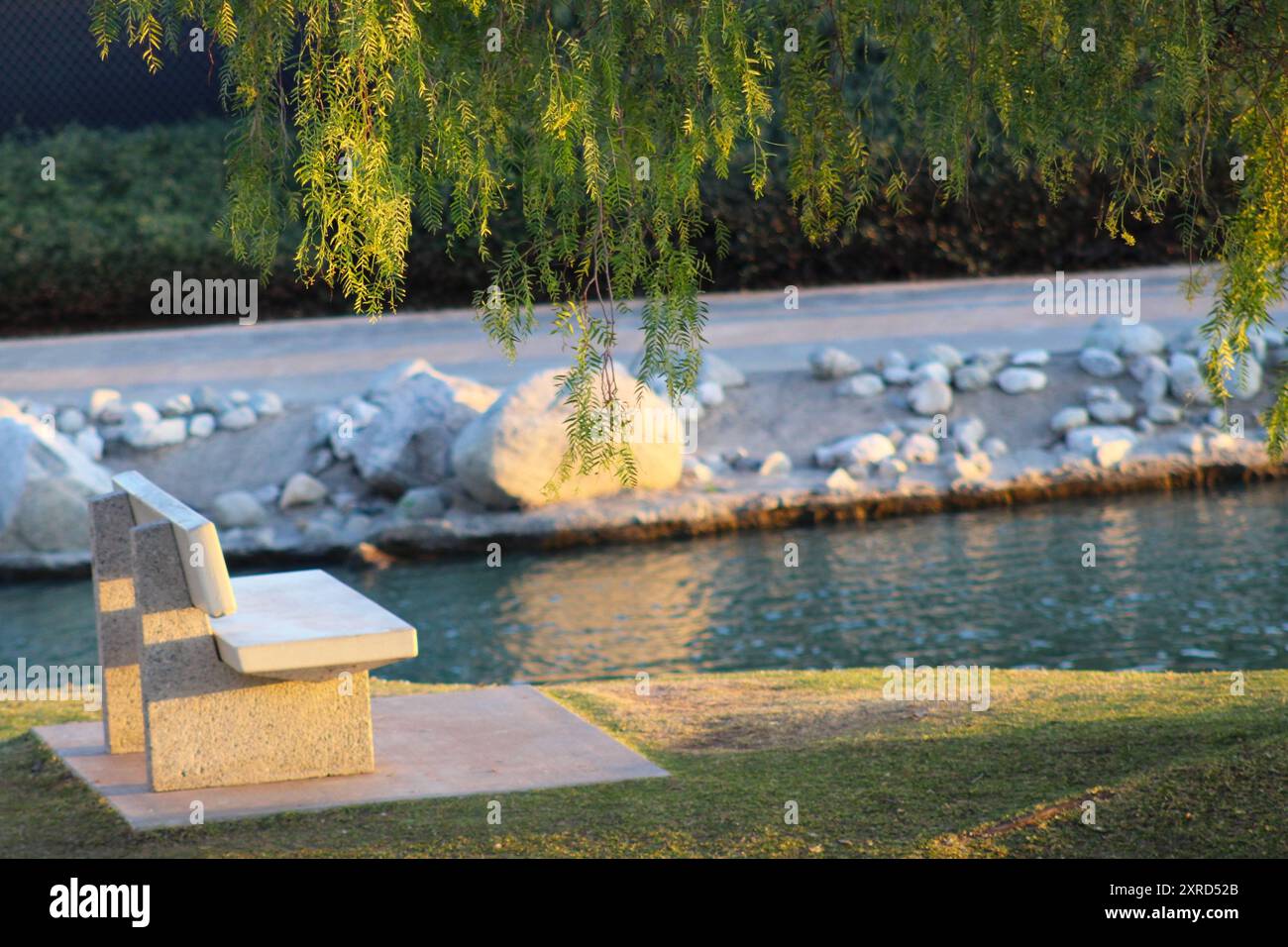 peaceful seat during golden hour Stock Photo - Alamy