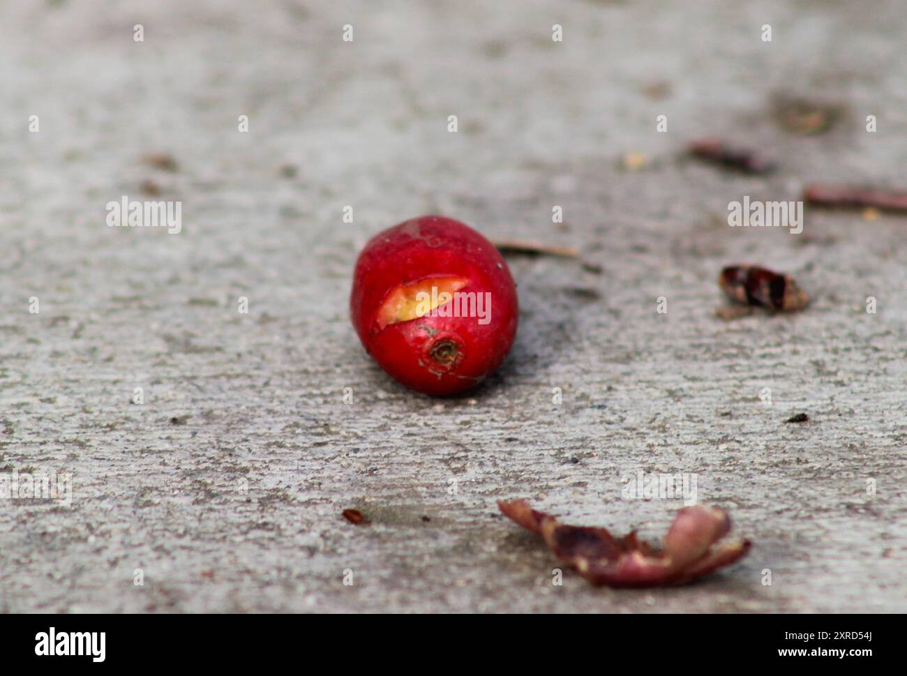 Crushed berries hi-res stock photography and images - Alamy