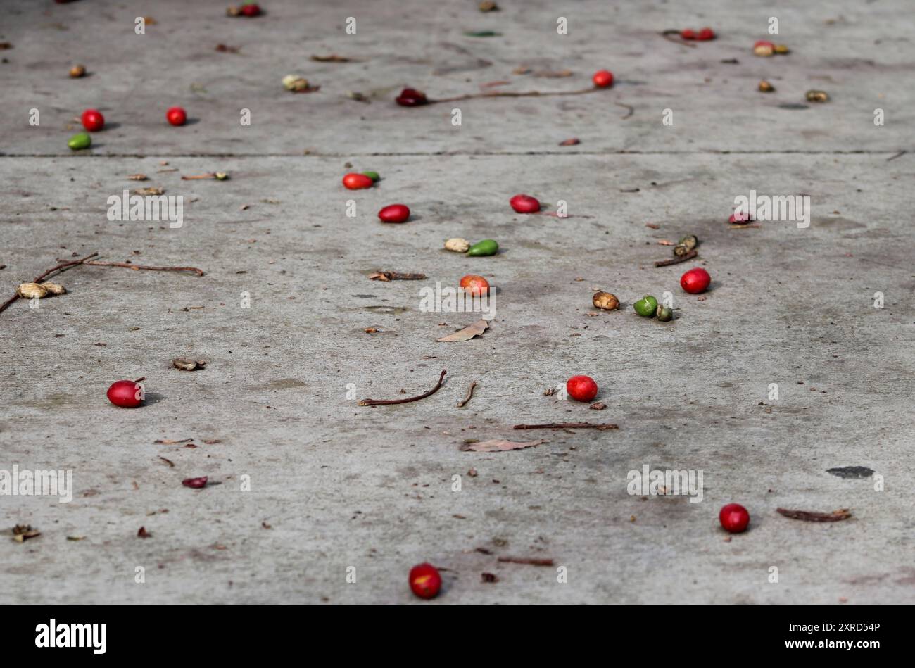Sidewalk stain hi-res stock photography and images - Alamy