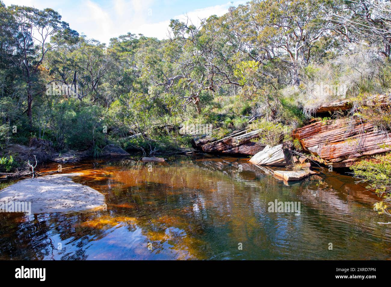 Deer Pool in the Royal National Park on the Bundeena drive to Marley ...
