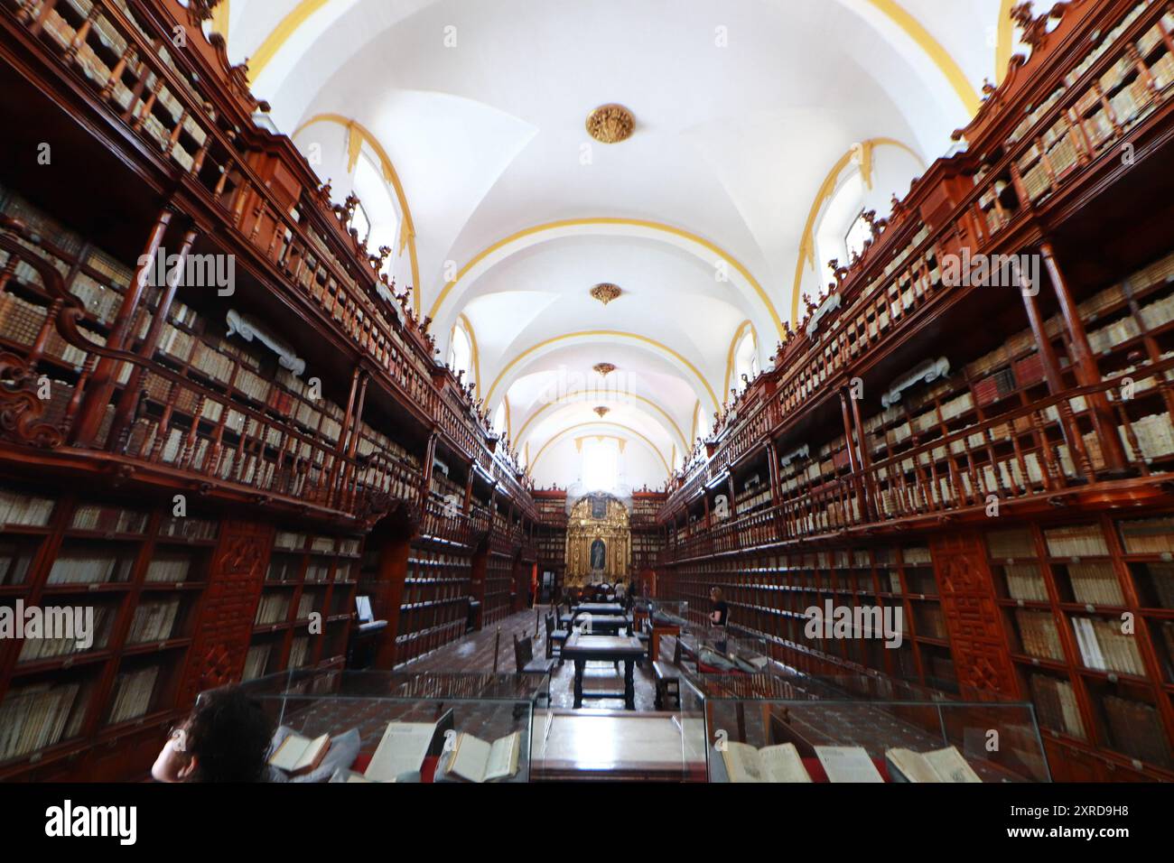 The historic palafox library in puebla hi-res stock photography and ...