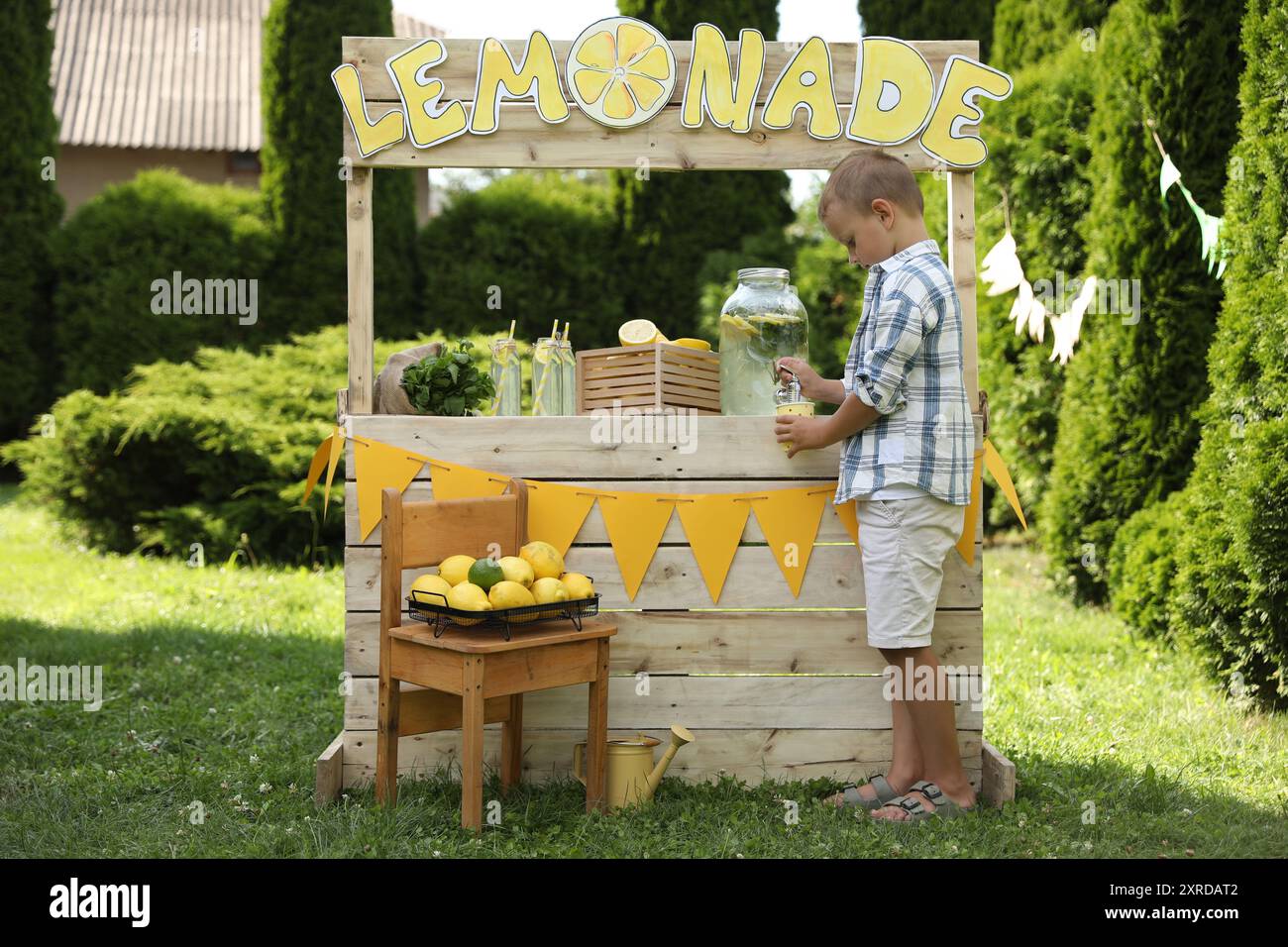Cute boy pouring refreshing lemonade into paper cup in park Stock Photo ...